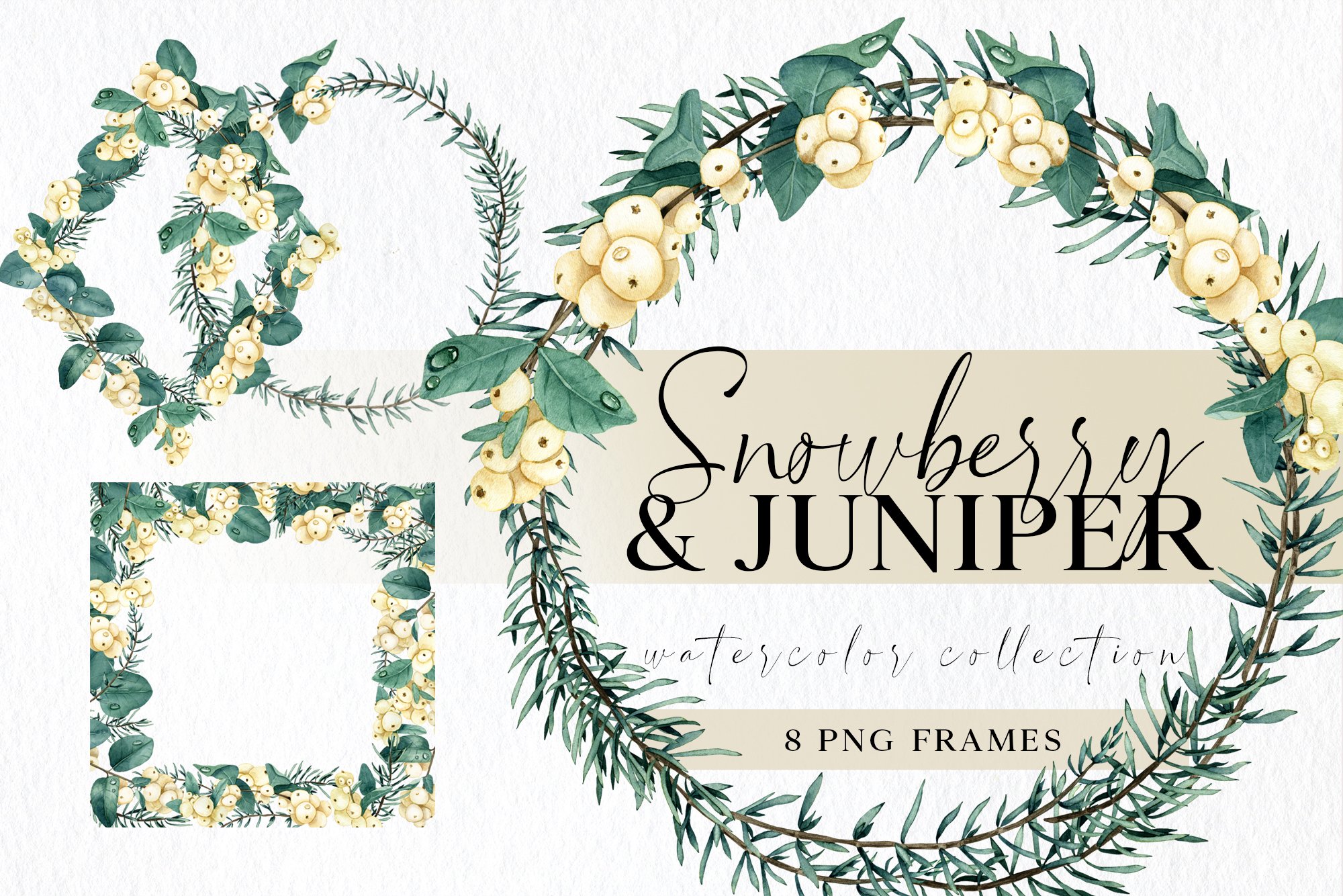 Watercolor Winter Floral Frames Clipart, Snowberry Juniper