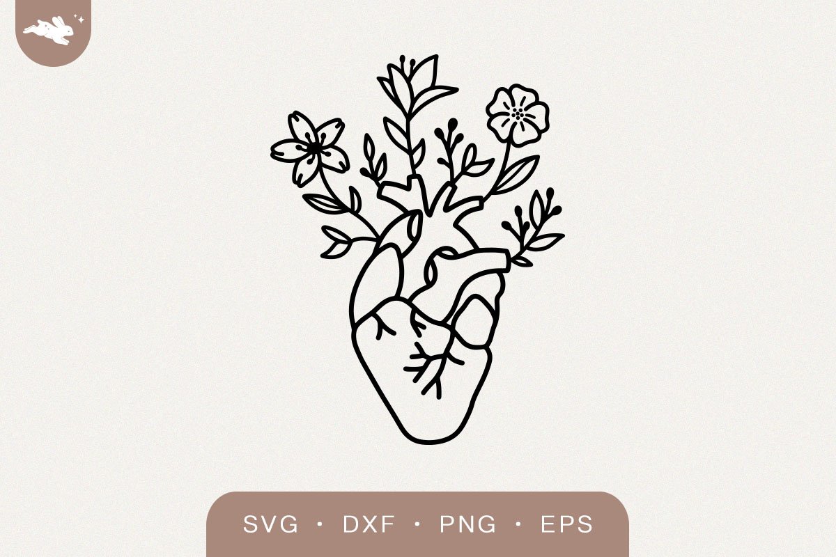 Anatomical Heart Drawing Outline