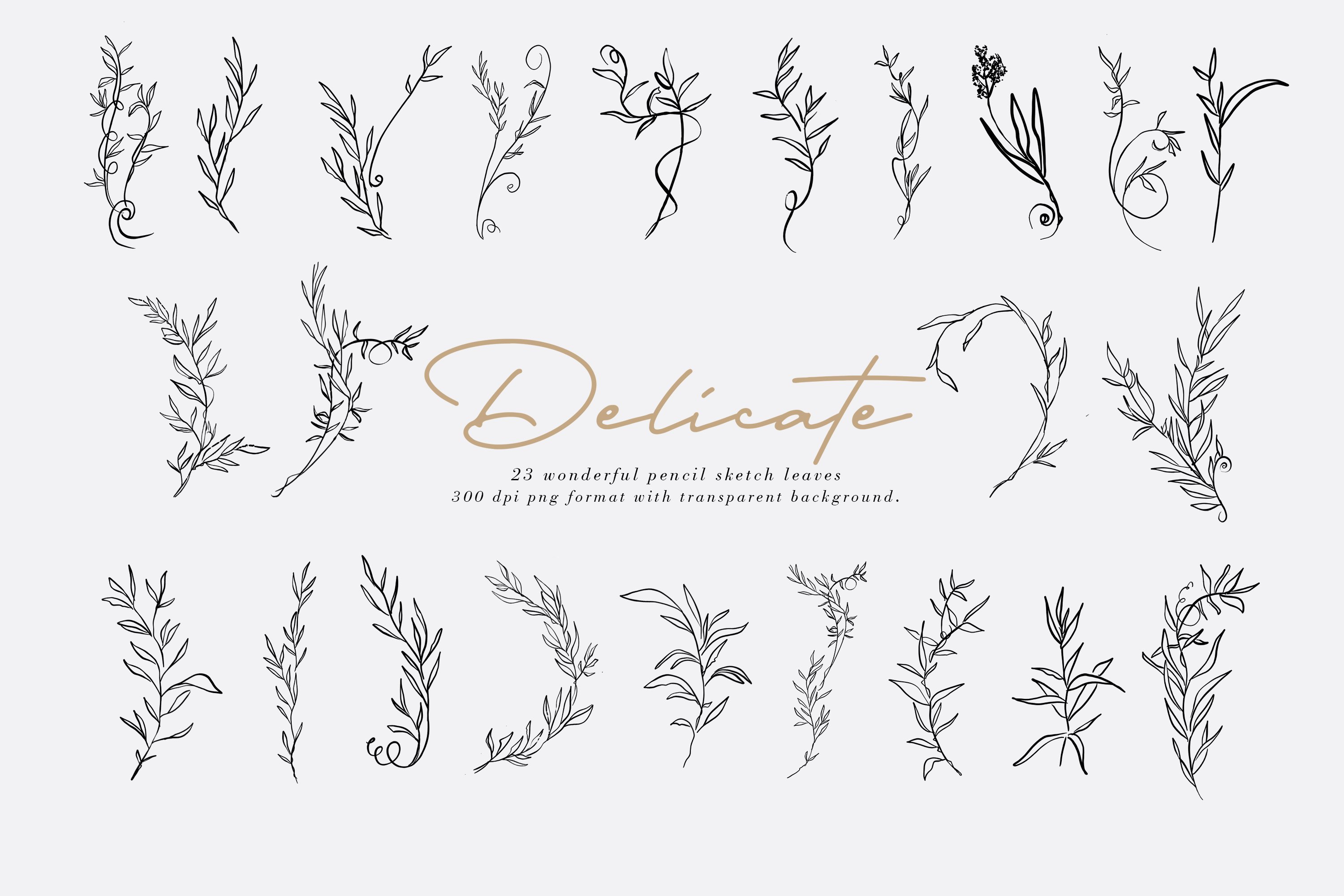 Delicate | Leafs Drawings (518625) | Illustrations | Design Bundles
