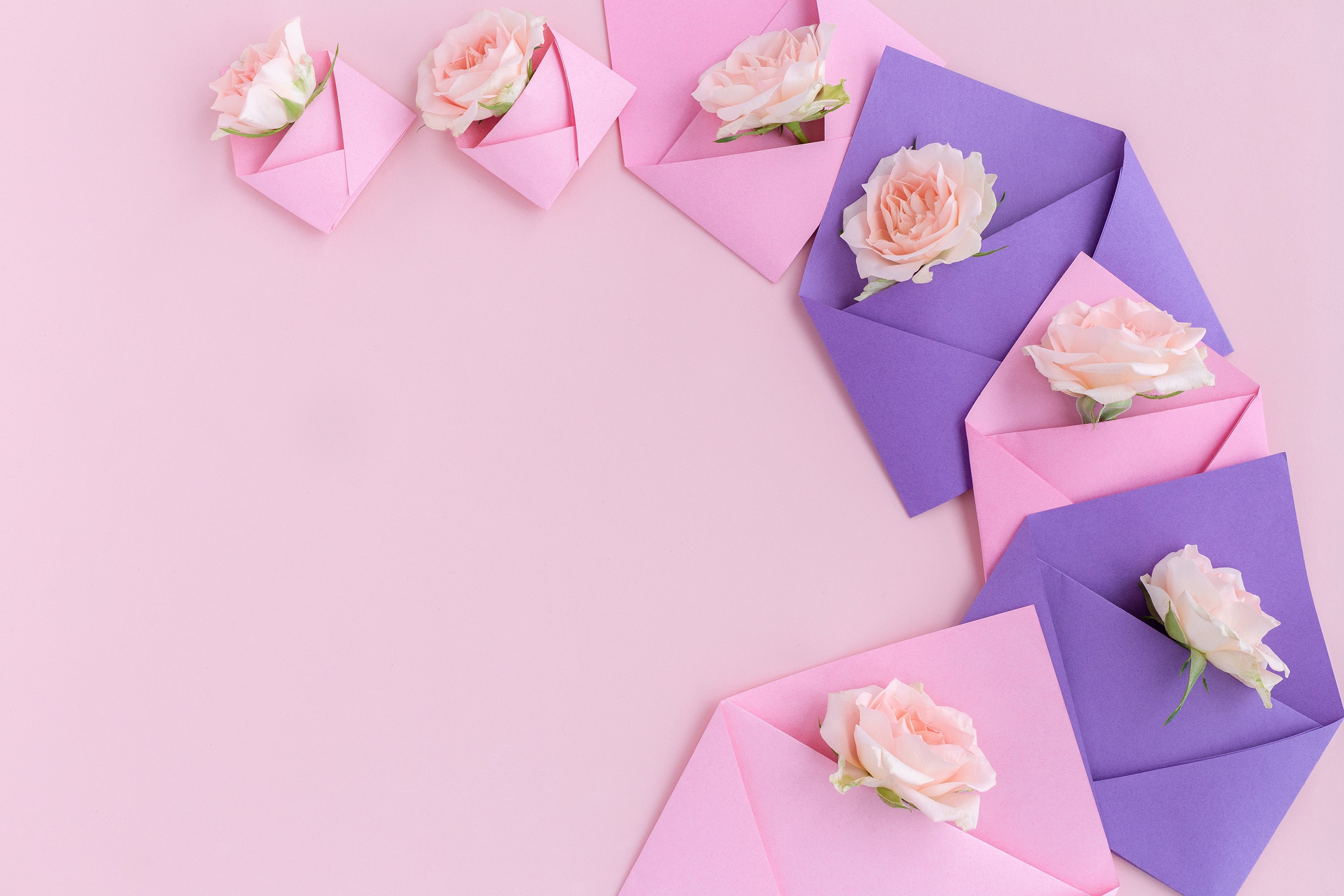 Purple, pink paper envelopes with roses.Flower greeting card (597969 ...