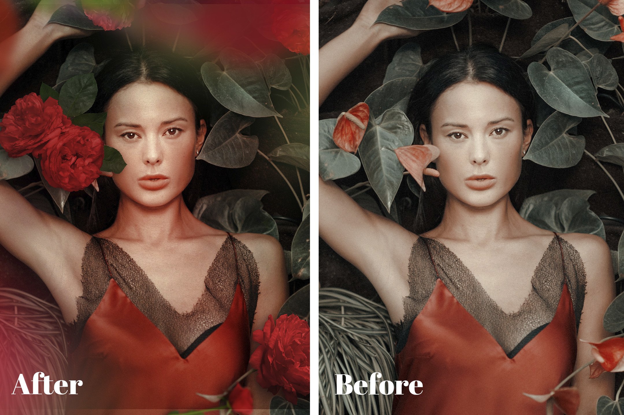 50 DREAMY ROSES Photo Overlays (707790) | Layer Styles | Design Bundles