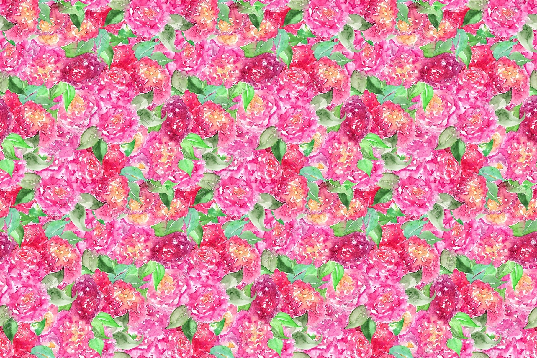 Watercolor pink rose peony flower floral seamless pattern (733063 ...