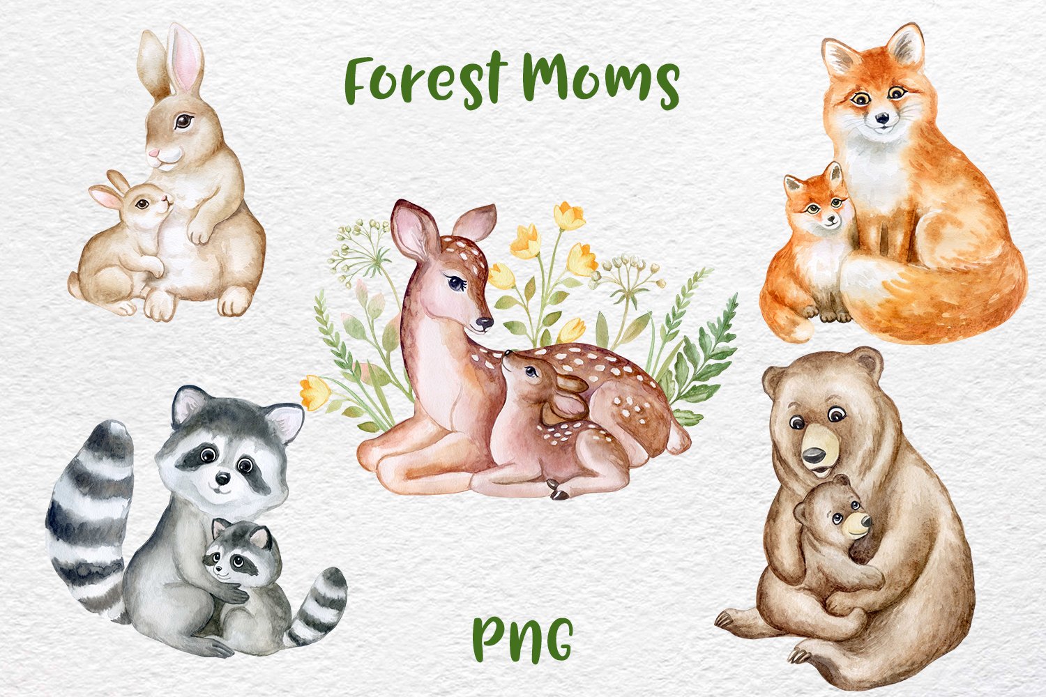 Baby Forest Animal Clipart