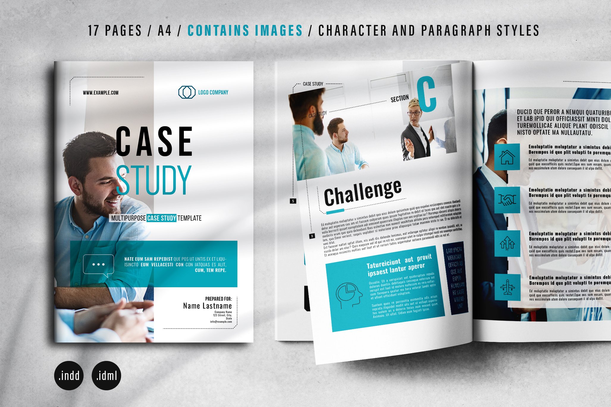 Case Study Layout (1830872) | Brochures | Design Bundles