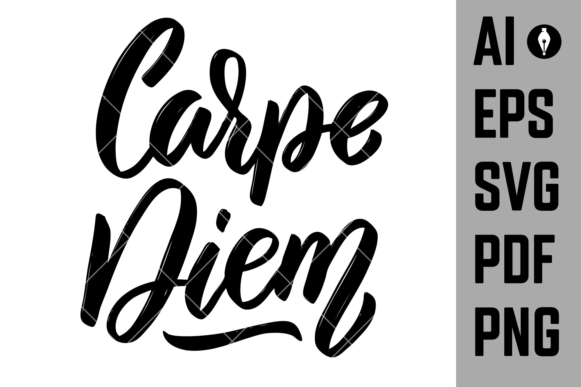 Carpe diem. Hand drawn lettering isolated on white bg (1765911 ...