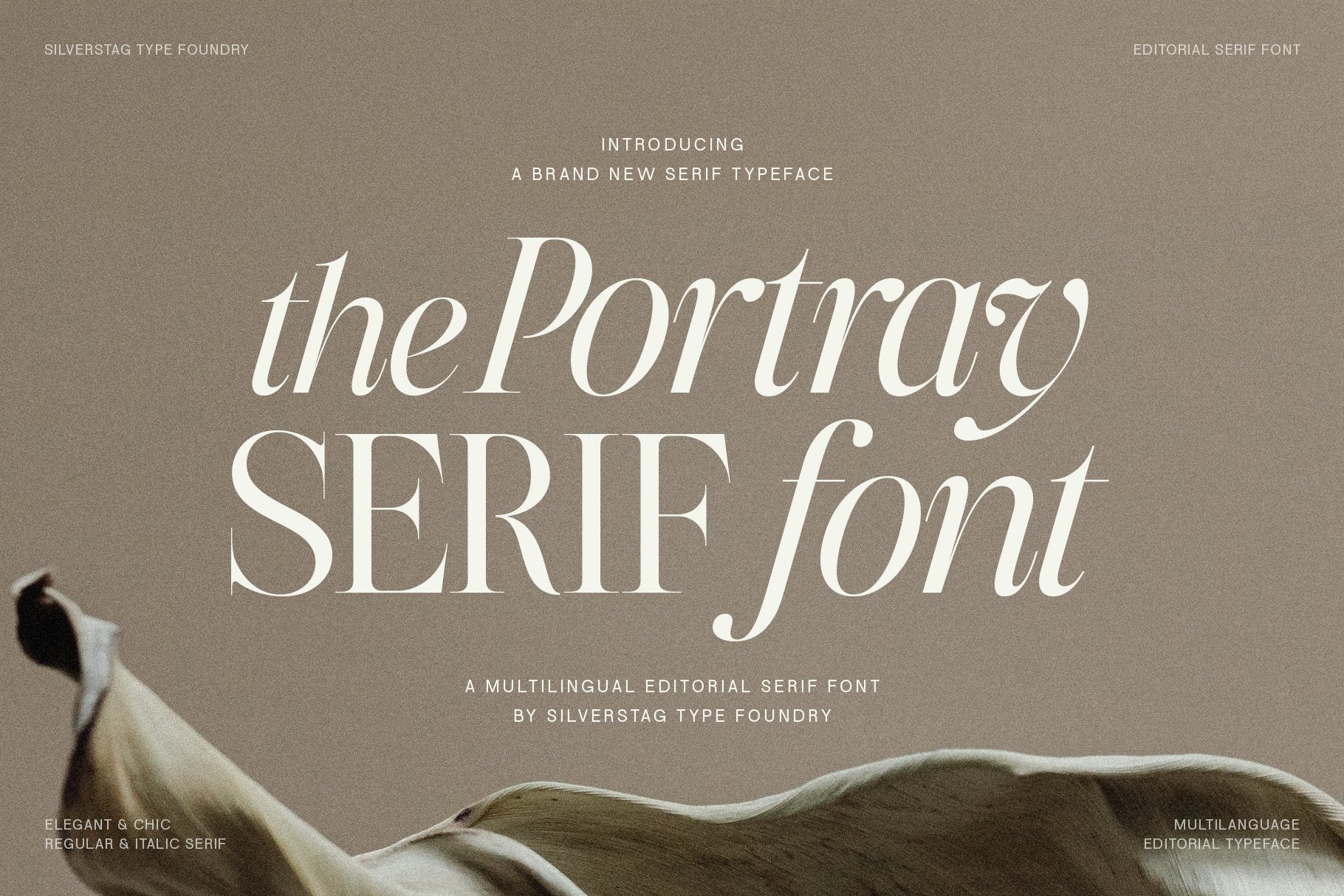 Serif Font Images