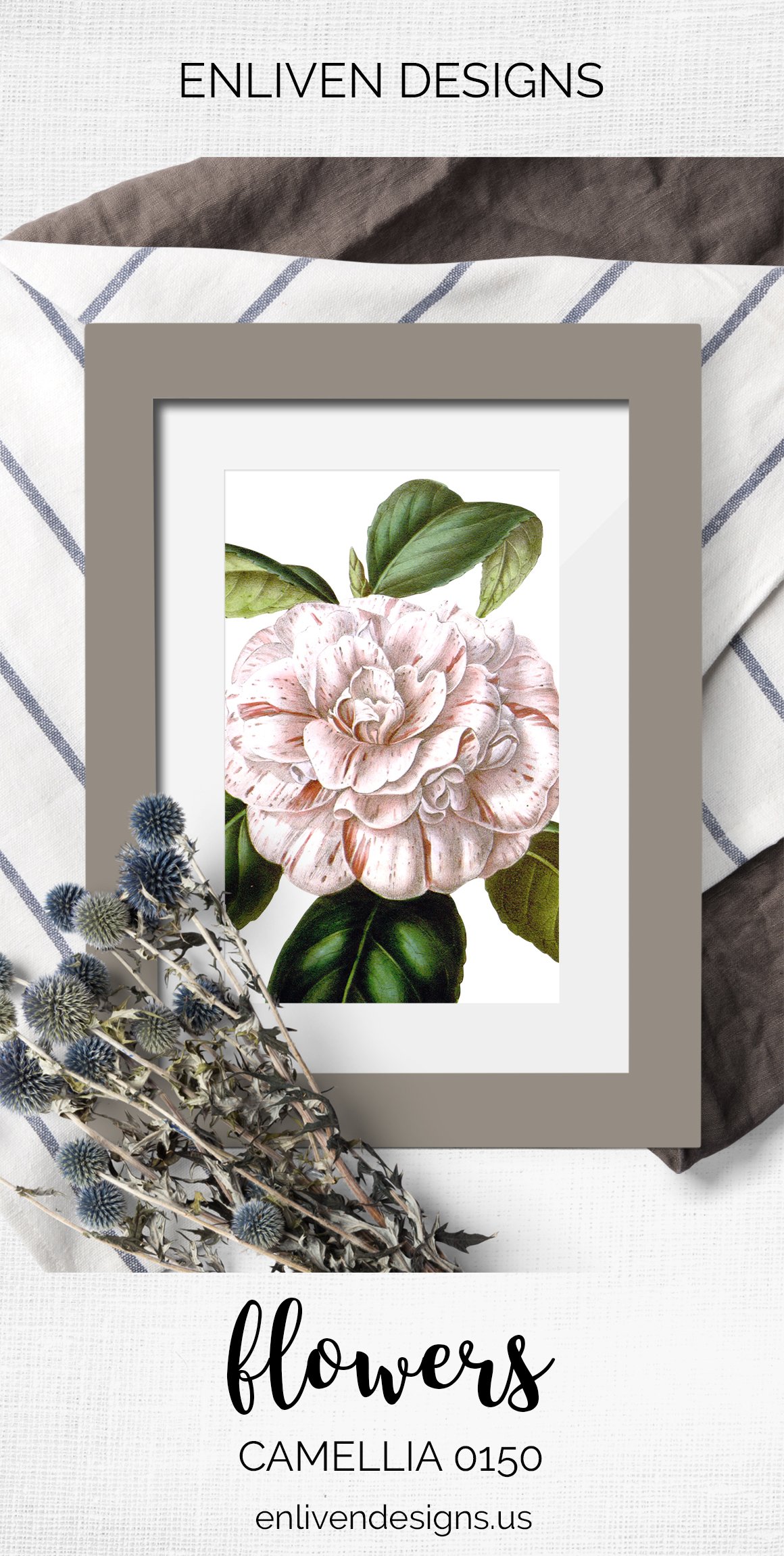 Camellia Clipart Flowers Vintage (121654) | Illustrations | Design Bundles