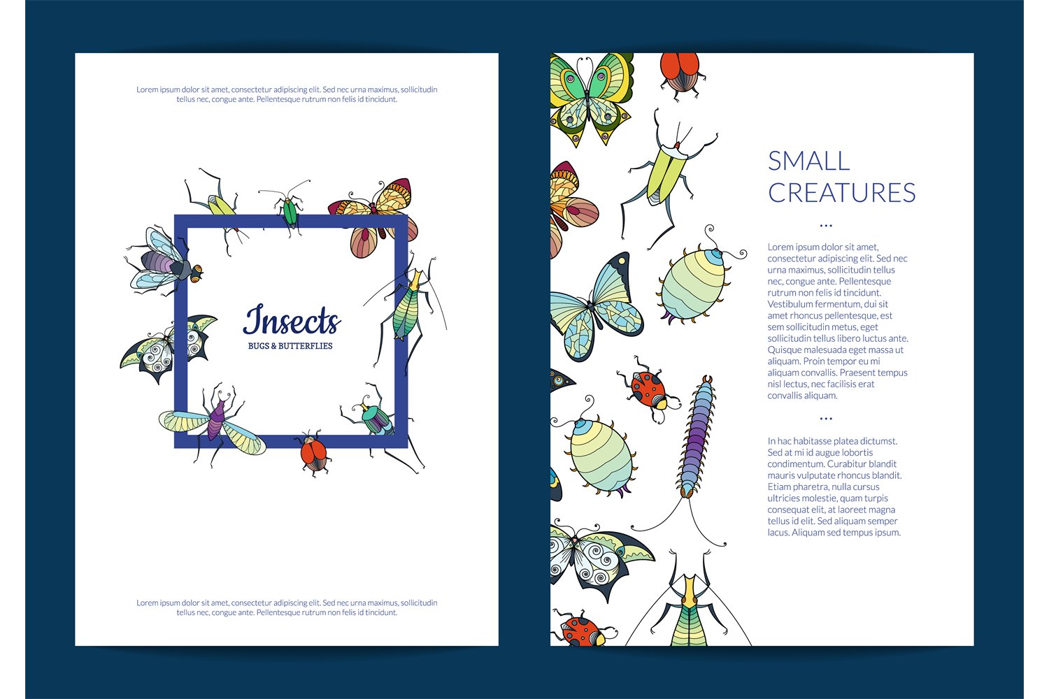 Vector hand drawn insects card or flyer template illustratio (872789 ...