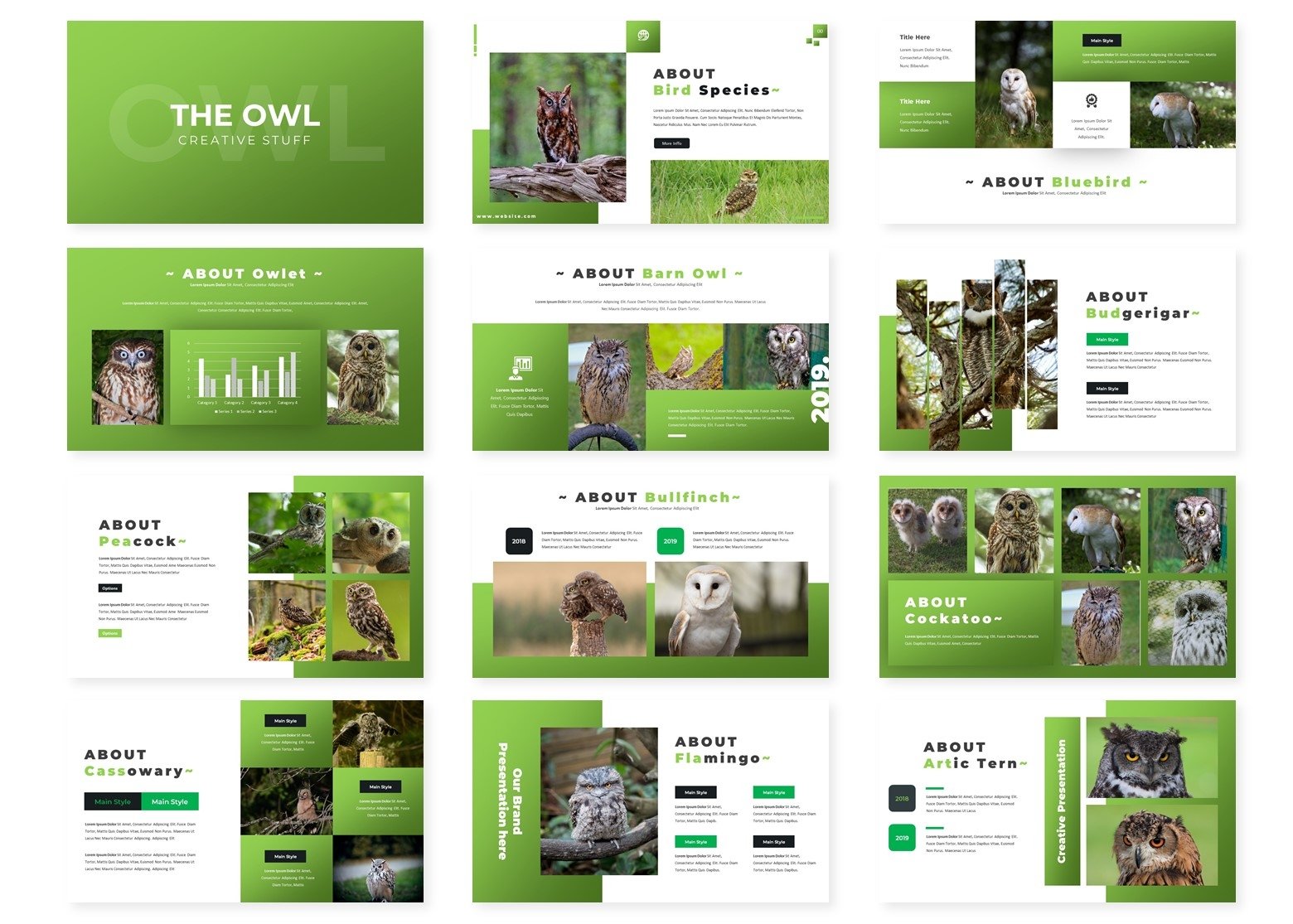 The Owl - Powerpoint Template (341242) | Presentation Templates ...