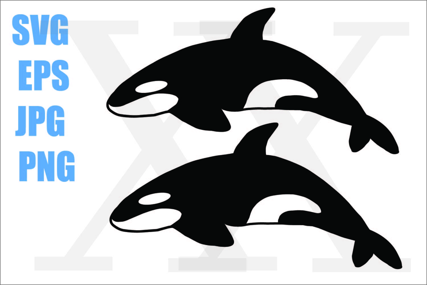 Orca Killer Whale - SVG-EPS-JPG-PNG (302860) | Illustrations | Design ...