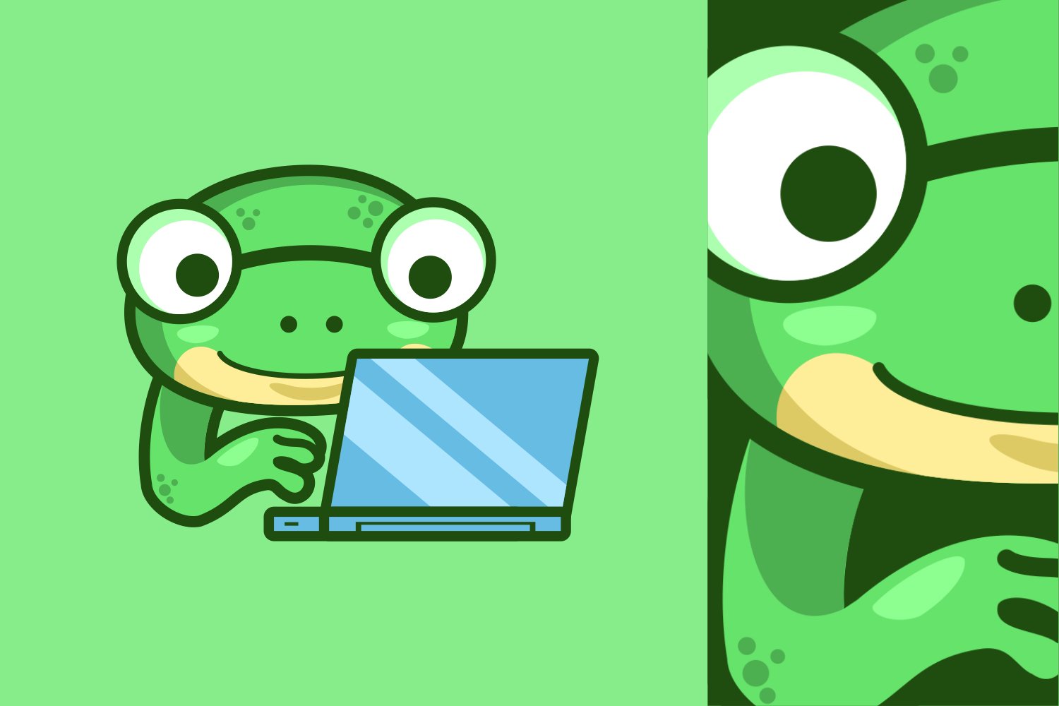 Smart Programmer Frog Coding on the Laptop Computer (1284900 ...