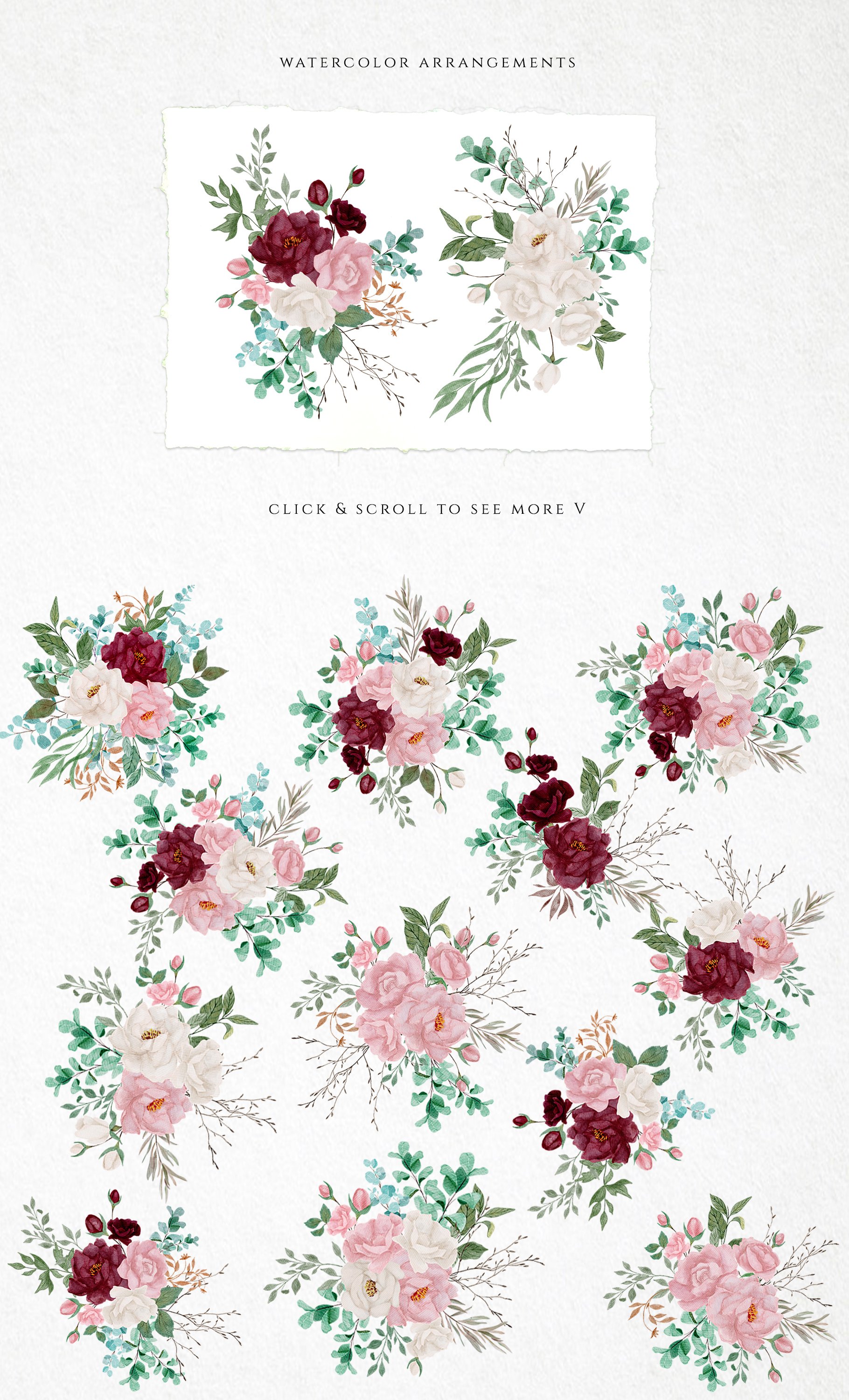 Burgundy Roses Watercolor Collection (810773) | Illustrations | Design ...