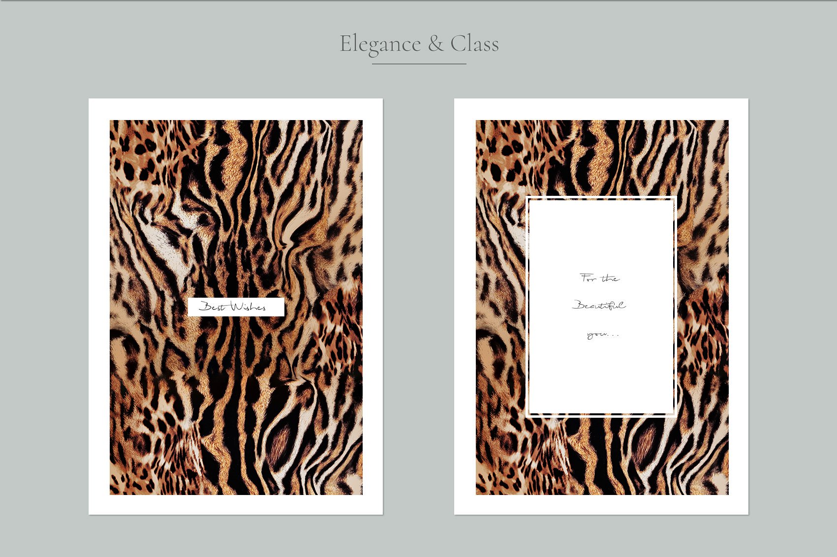 Tiger and Leopard|Animal Print Bundle (378865) | Patterns | Design Bundles