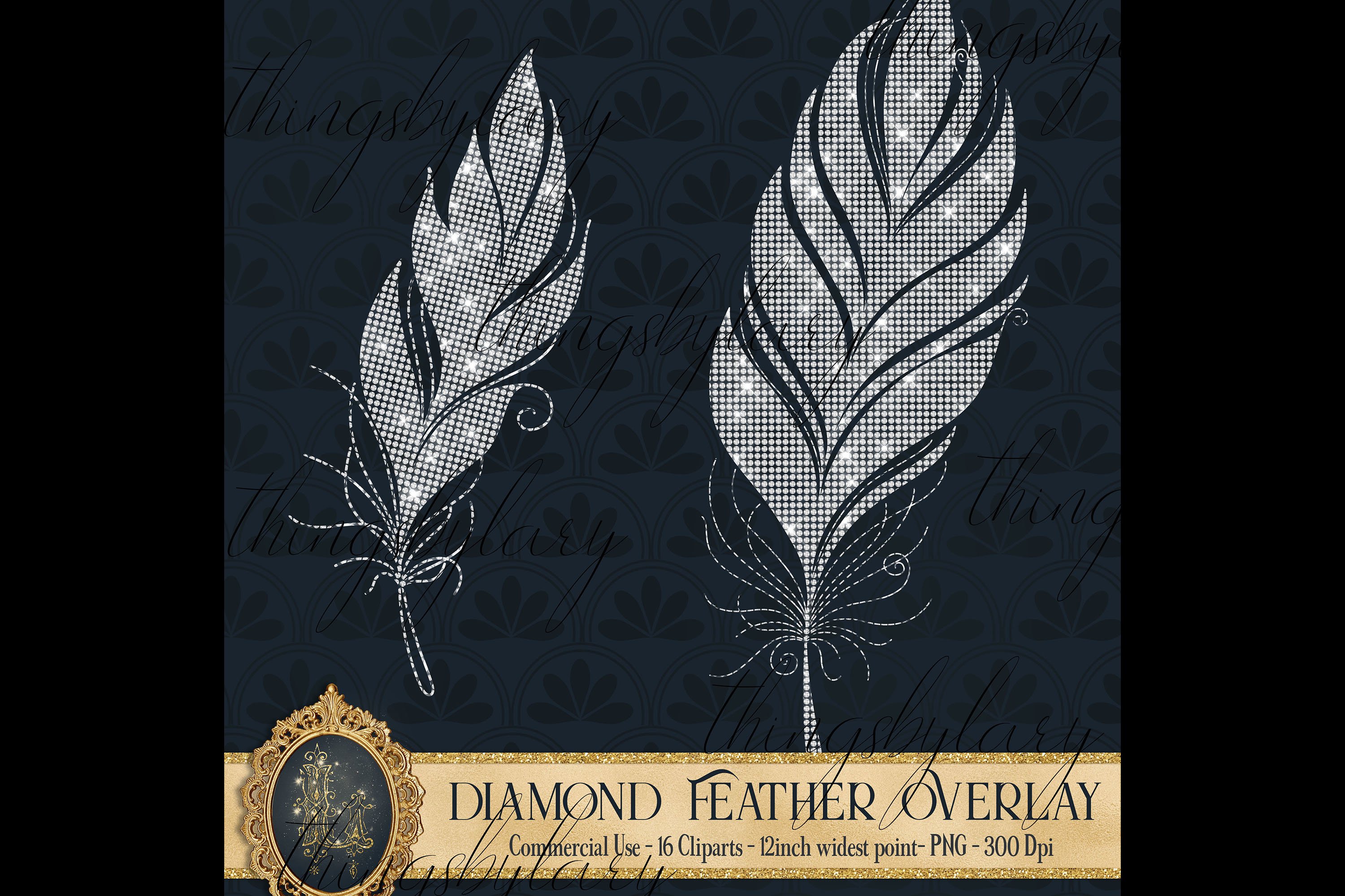 16 Diamond Feather Overlay Clip Arts, Boho Feather, Diamond (134207 ...