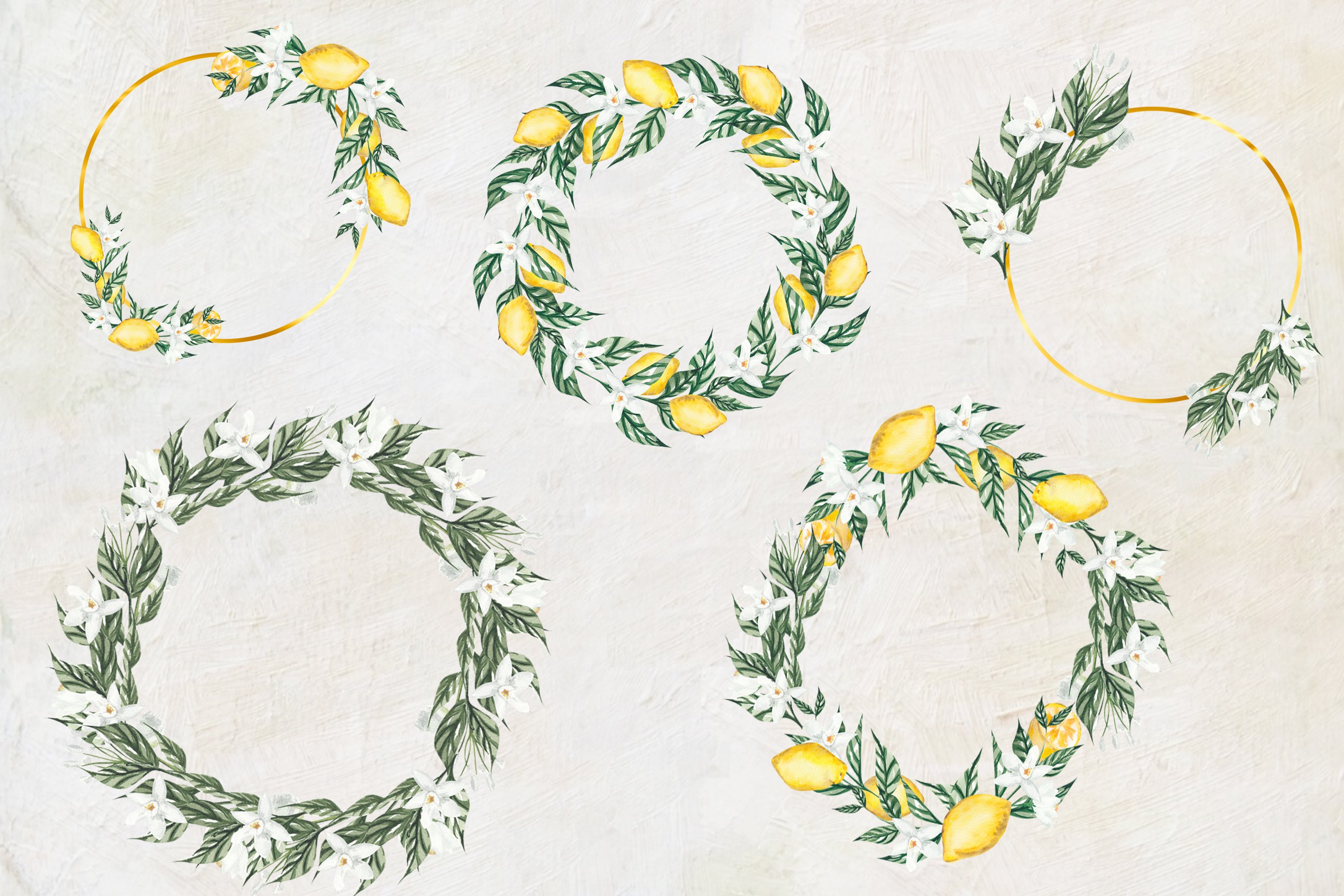 Lemon wreath, modern watercolor citrus circle frame (1106160 ...