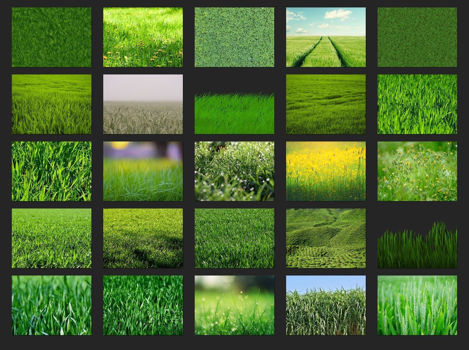 200 GRASS DIGITAL PHOTOSHOP OVERLAYS, BACKDROPS, BACKGROUNDS (530880 ...