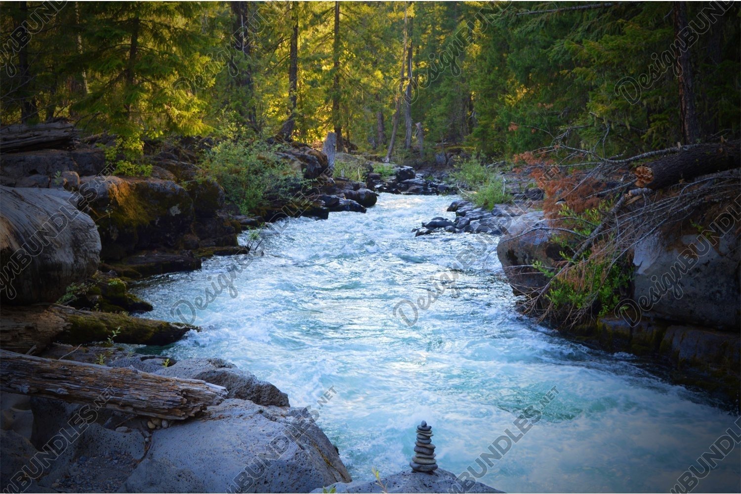 Stock Photo, Forest, River, Oregon (801875) | Nature | Design Bundles