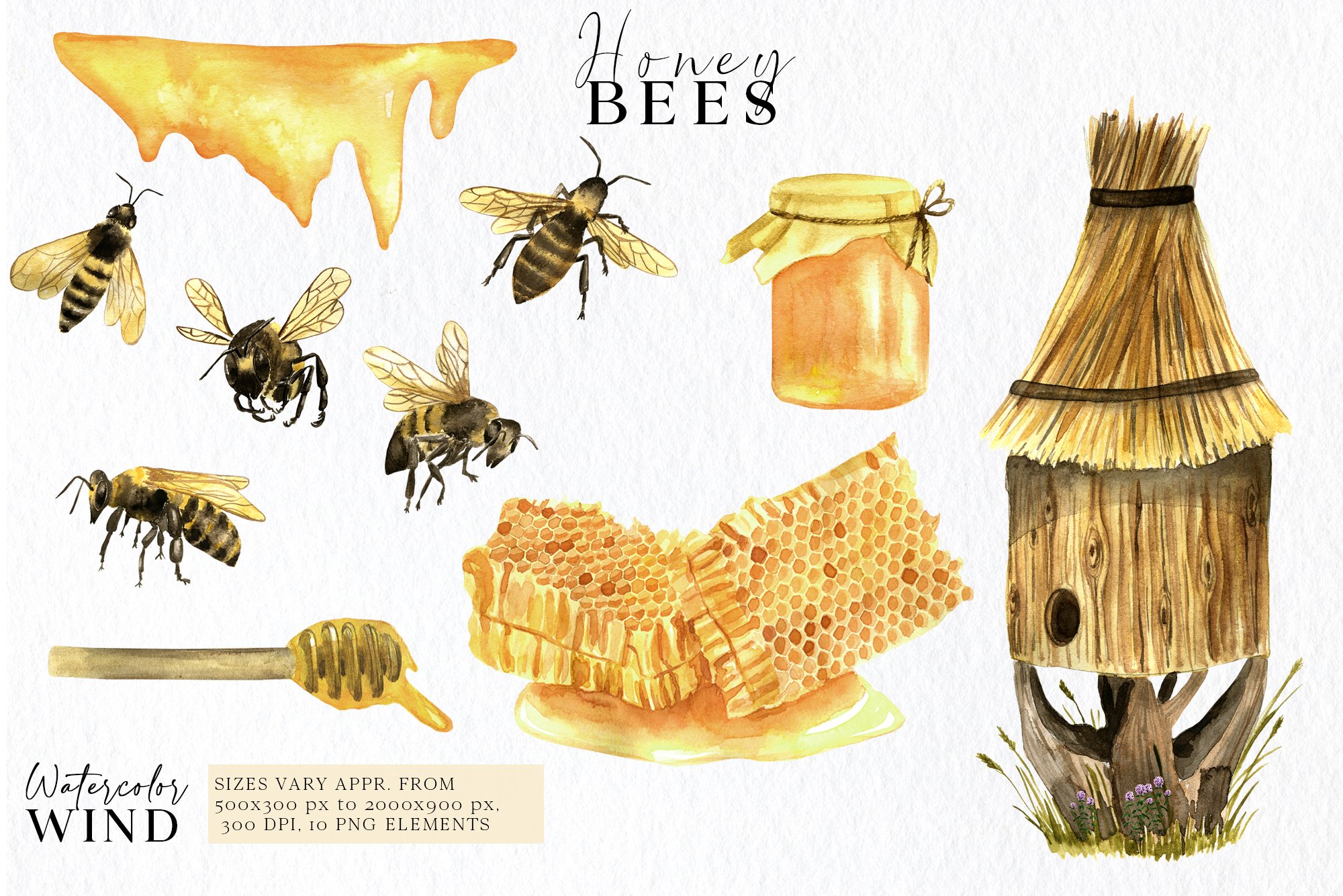 Watercolor Bee PNG Clipart | Honey Bee Clip Art (557772 ...