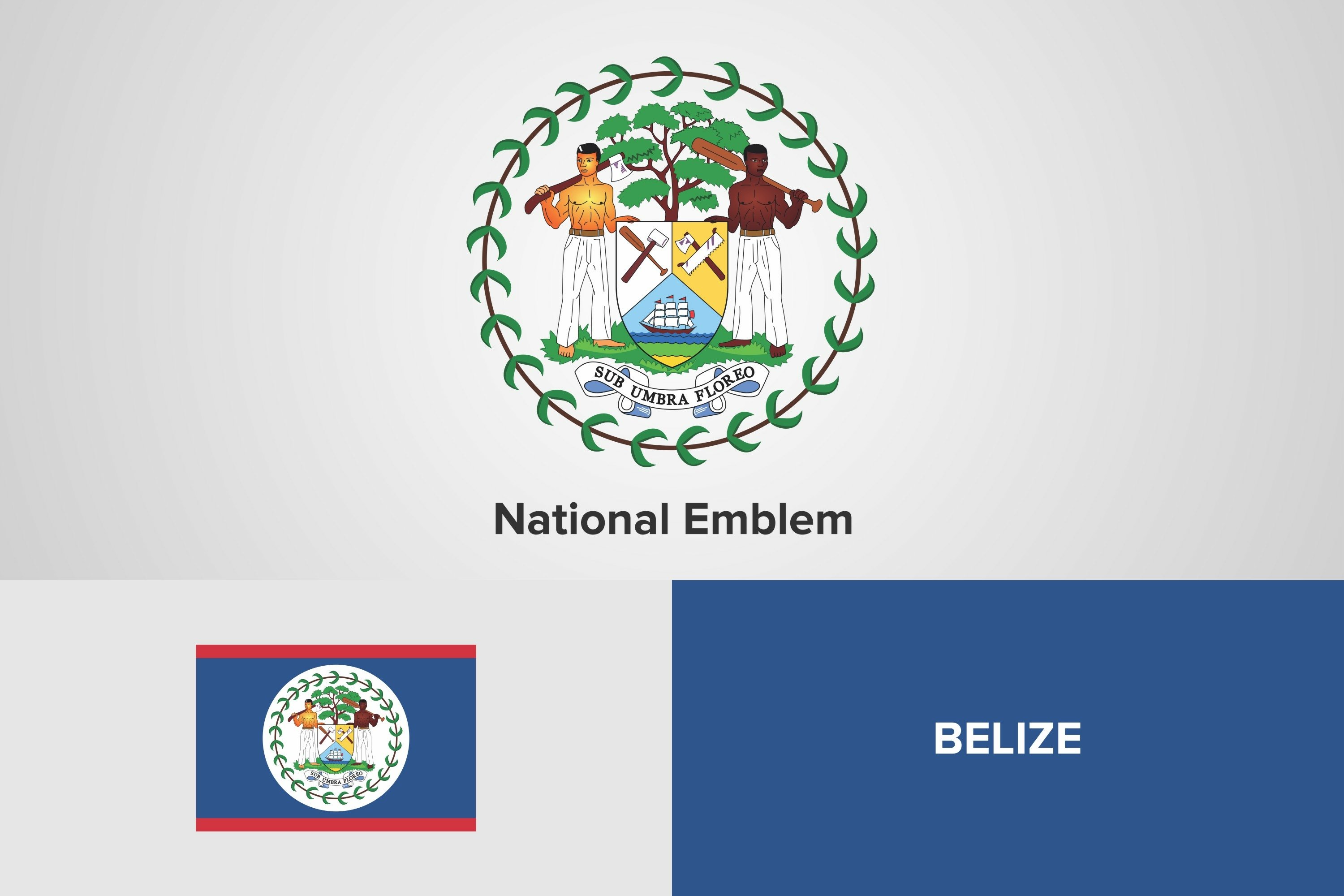 Belize National Emblem & Flag Template (1287748) | Illustrations ...