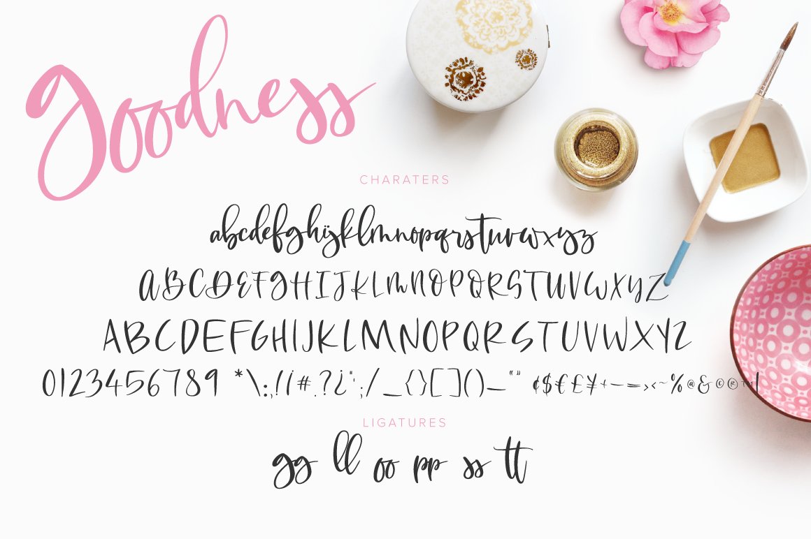 Goodness (49772) | Script | Font Bundles