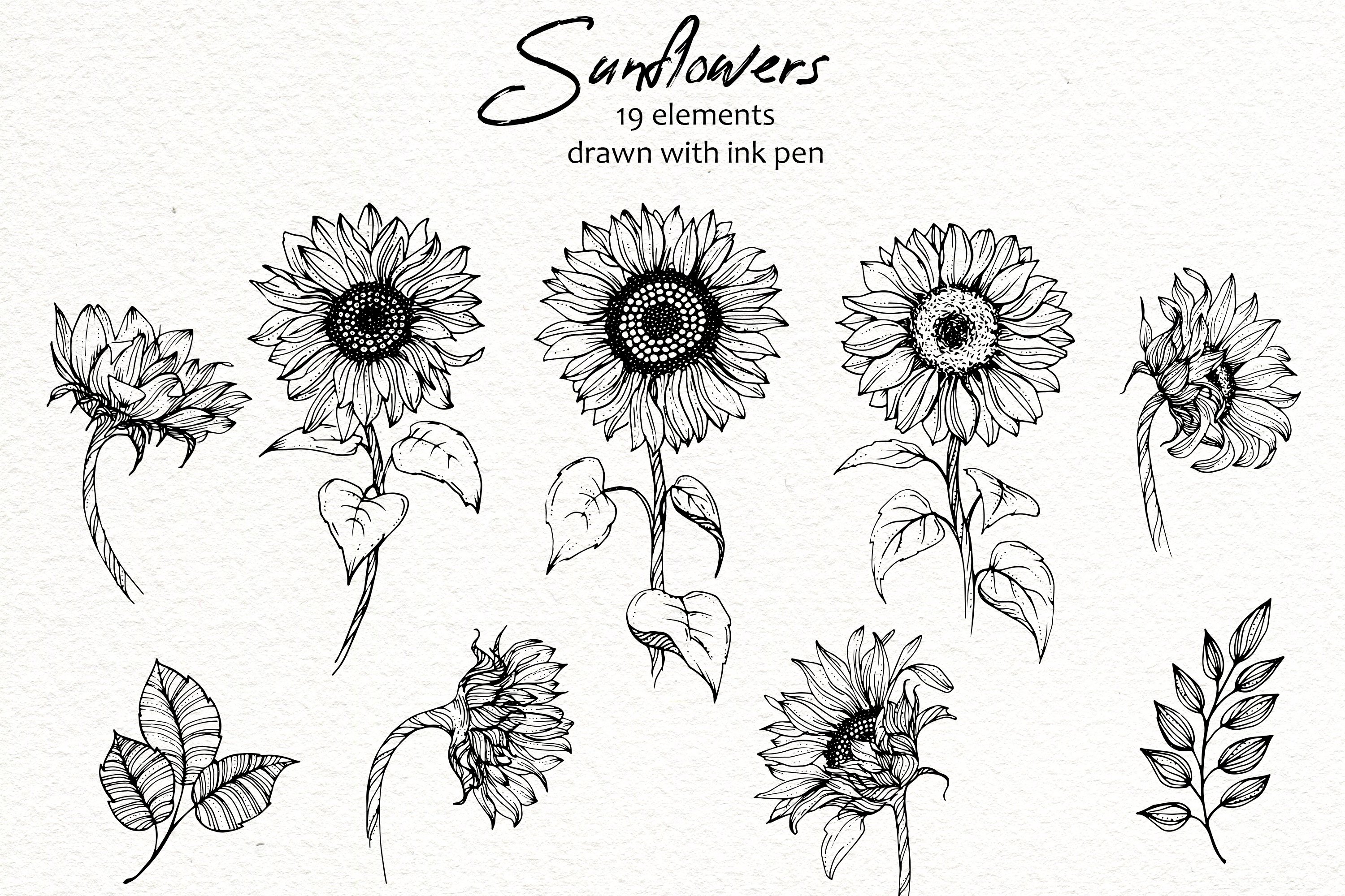Sunflowers and leaves SVG, PNG. Hand drawn doodle flowers (701848 ...