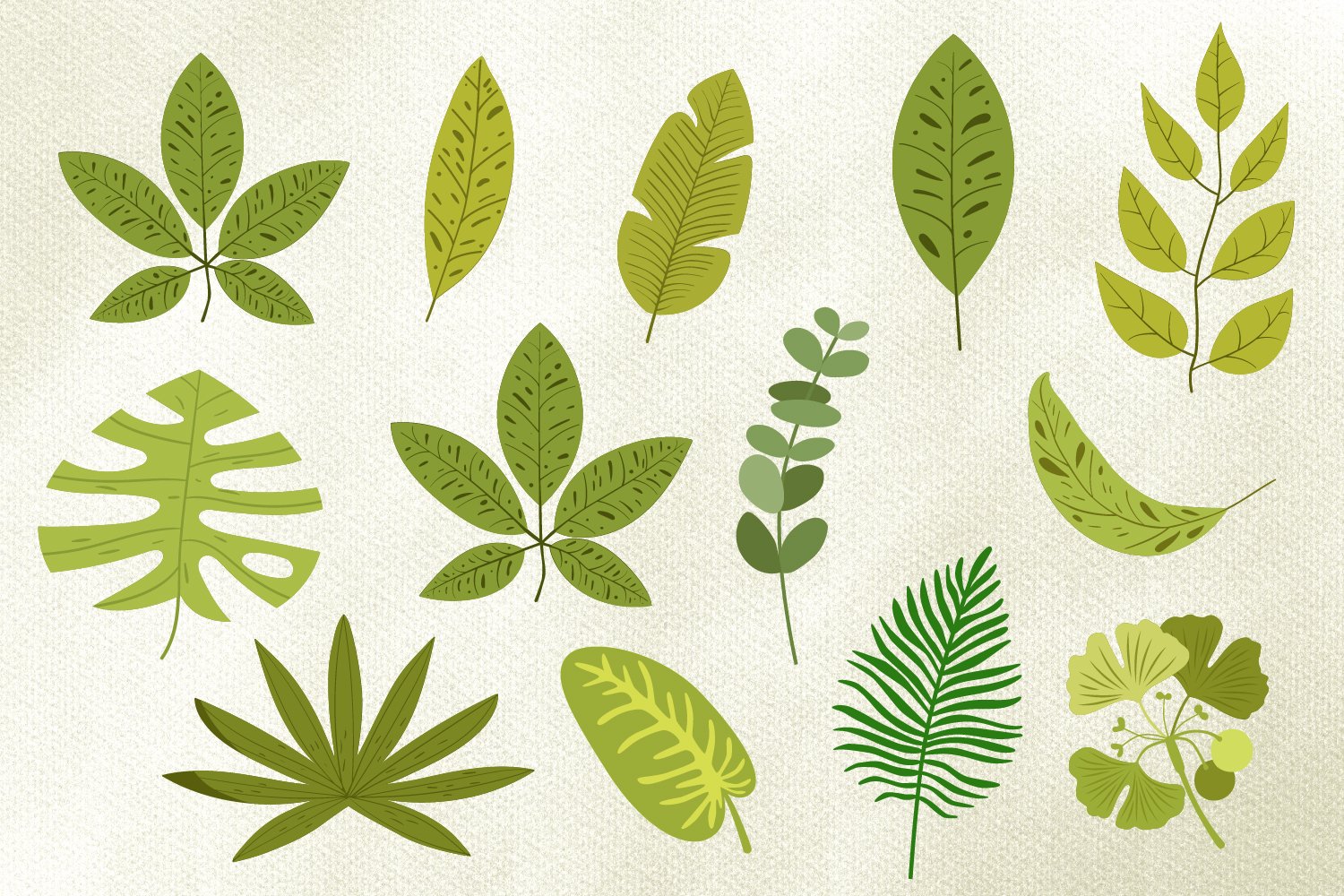 Tropical Flowers and Leaves PNG, SVG for cutting and PDF (731260) | Cut ...