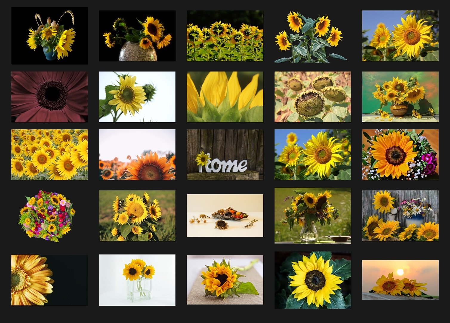 200 SUNFLOWER PHOTOSHOP OVERLAYS, BACKDROPS, BACKGROUNDS (531315) | Nature | Design Bundles