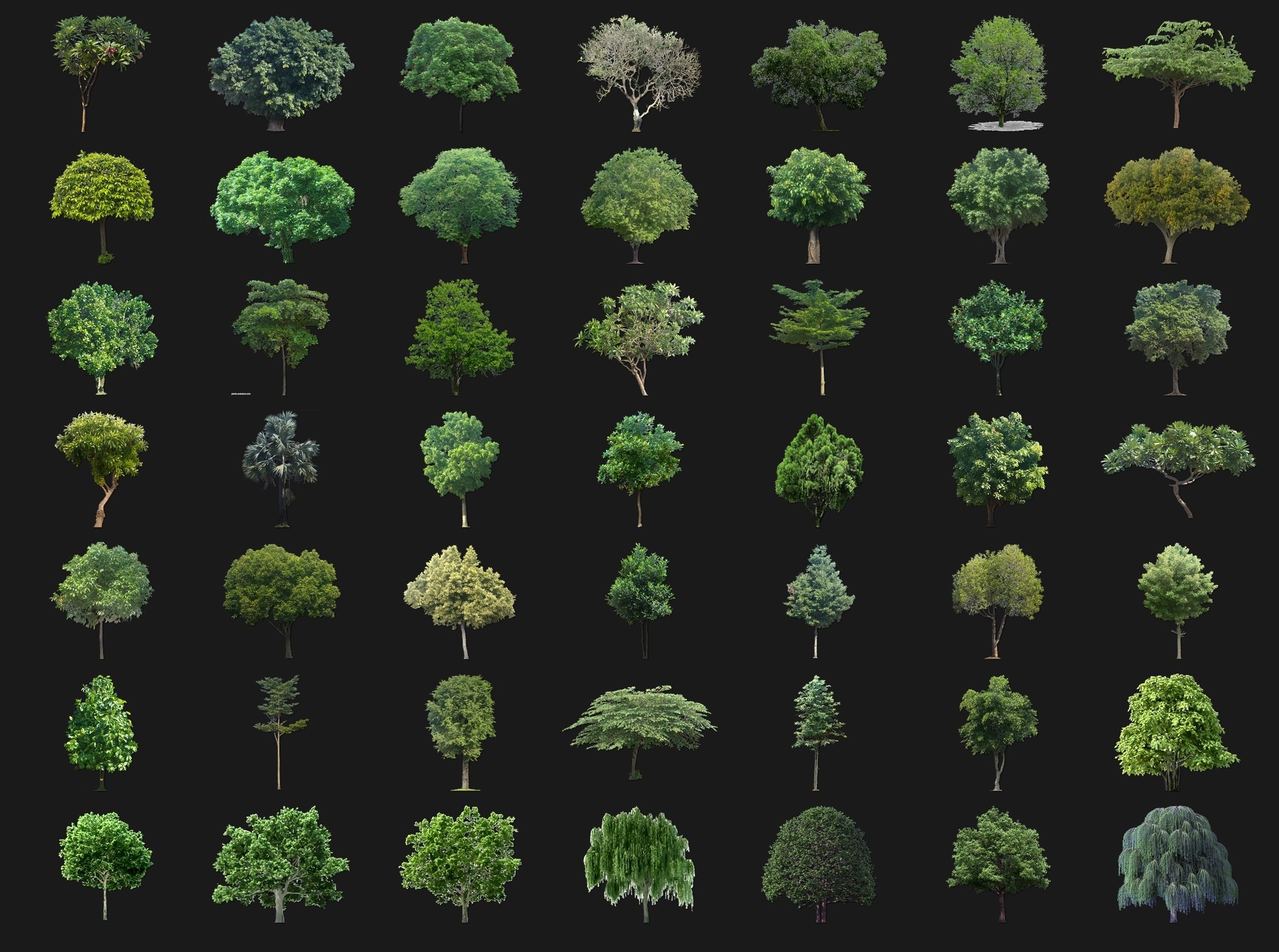 200 TREES PNG PHOTOSHOP OVERLAYS, BACKGROUNDS, BACKDROPS (532553 ...