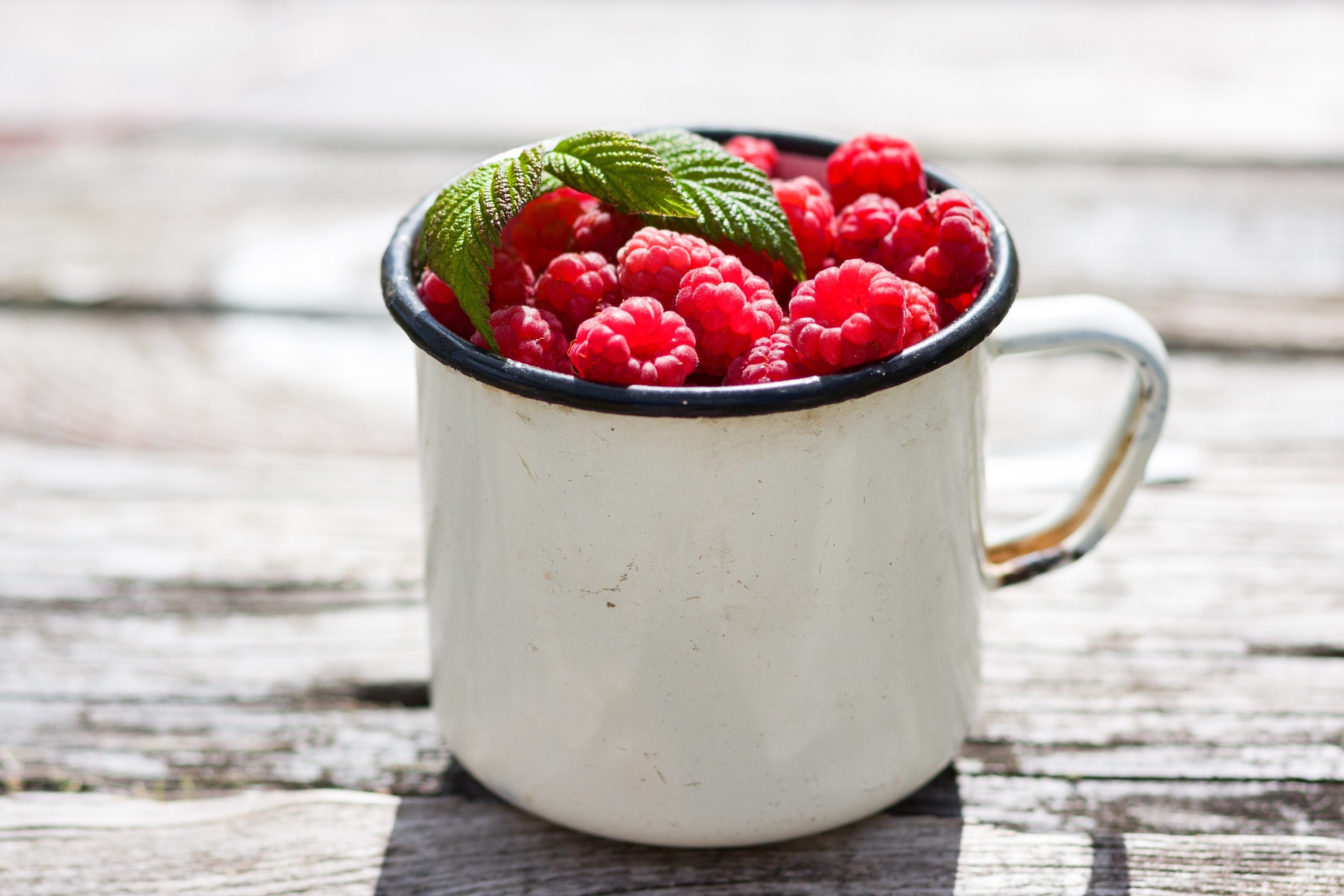 Raspberries in white metal cup in summer day (589924) | Food and Drink ...