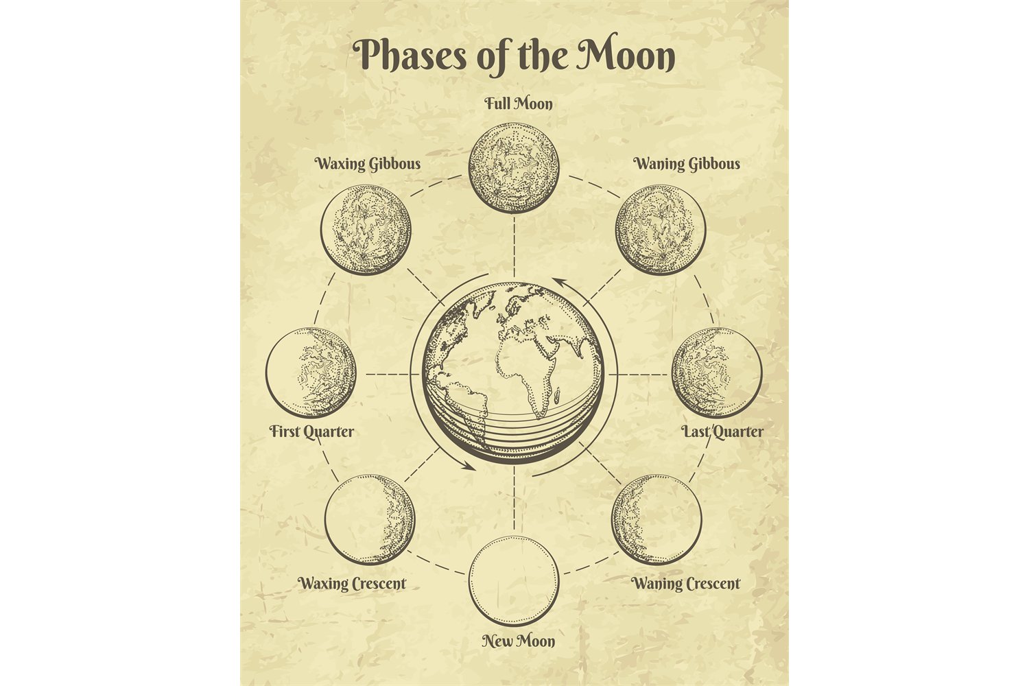 Vintage astrology moon phases (1363134) | Illustrations | Design Bundles