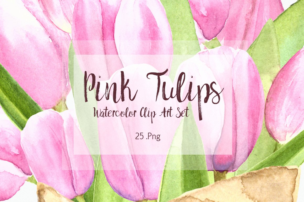 Watercolor Watercolor Pink Tulips Clip art Set Art & Collectibles etna ...