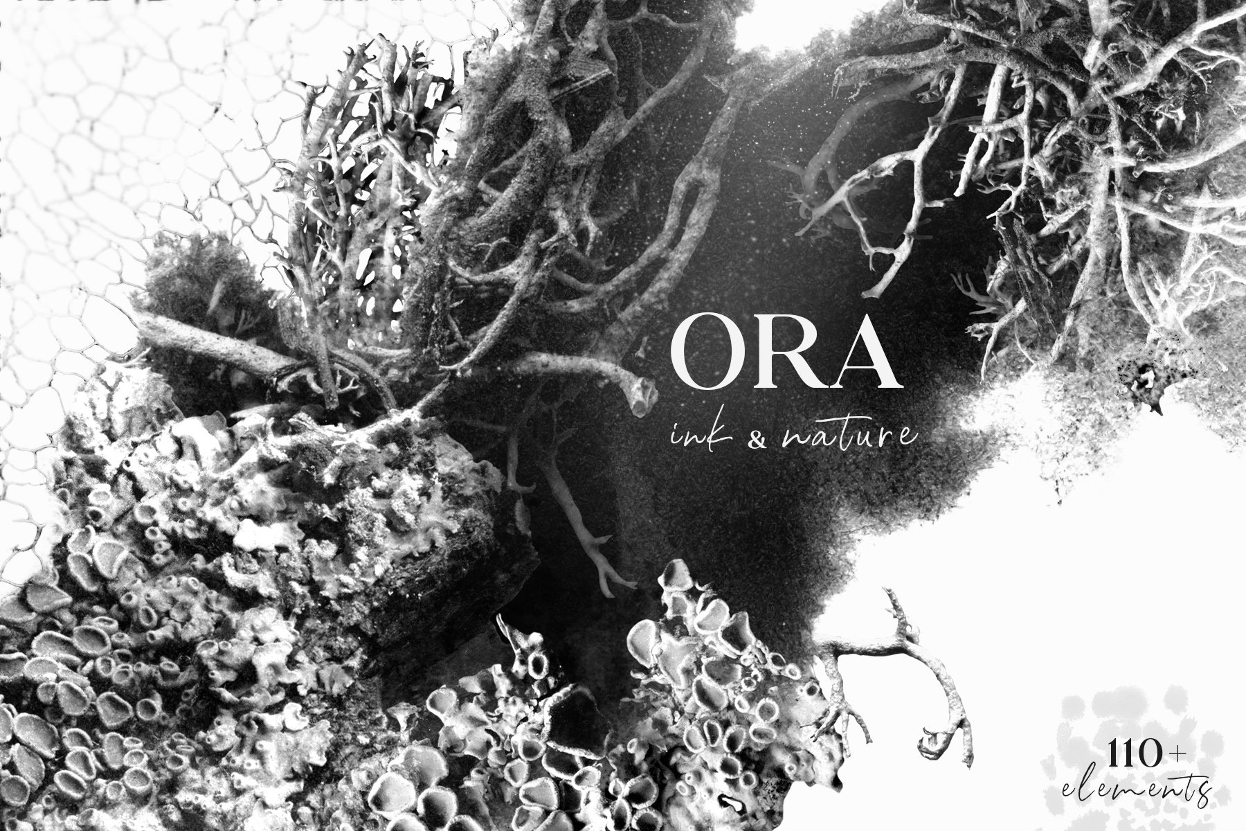 Ora - Ink&nature (648380) | Textures | Design Bundles