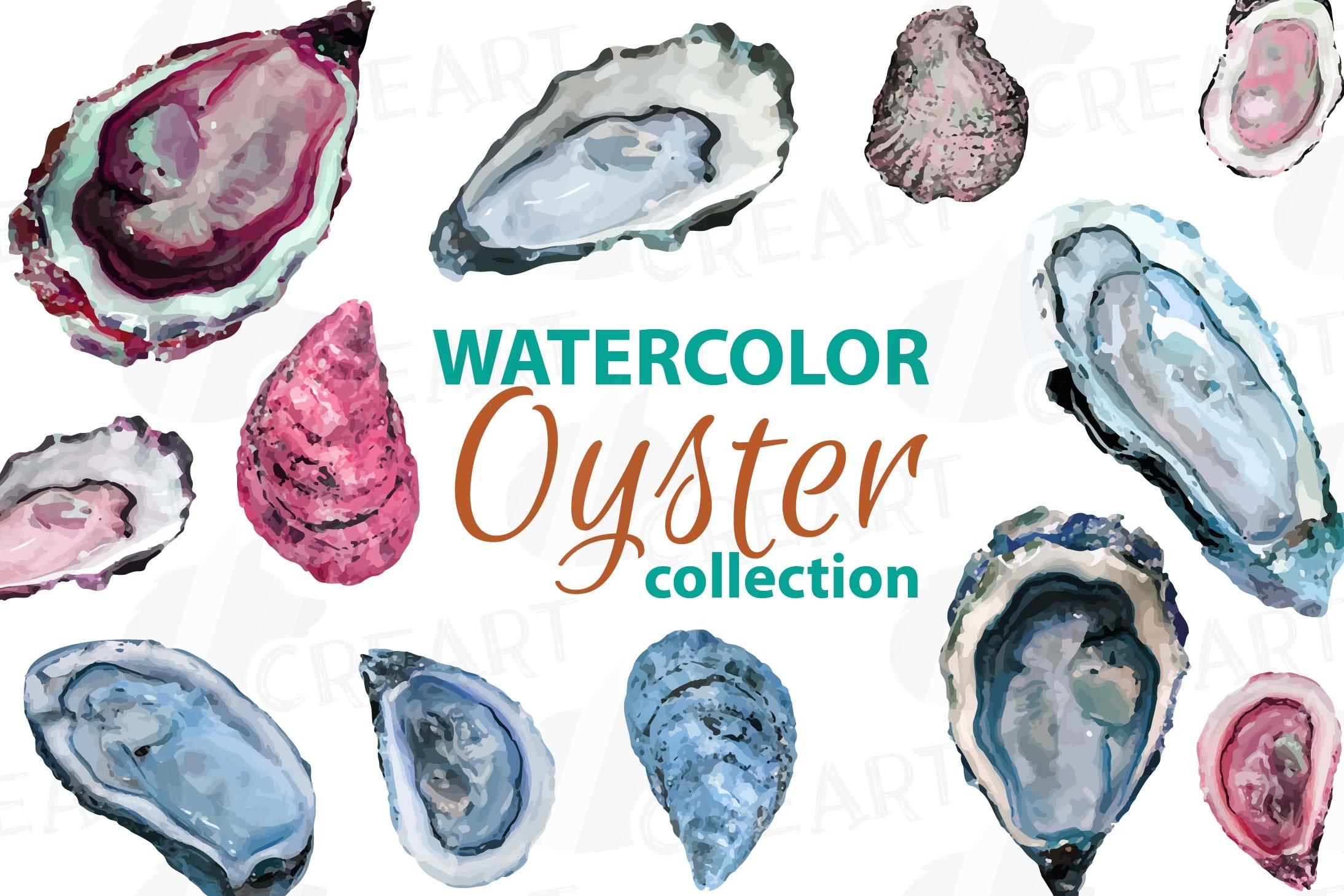 Oyster Shell Clip Art