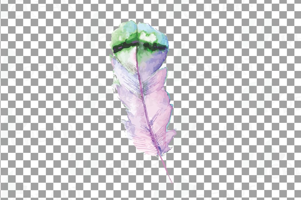 Watercolor Feathers, Colorful tribal feathers clip art pack (106959 ...