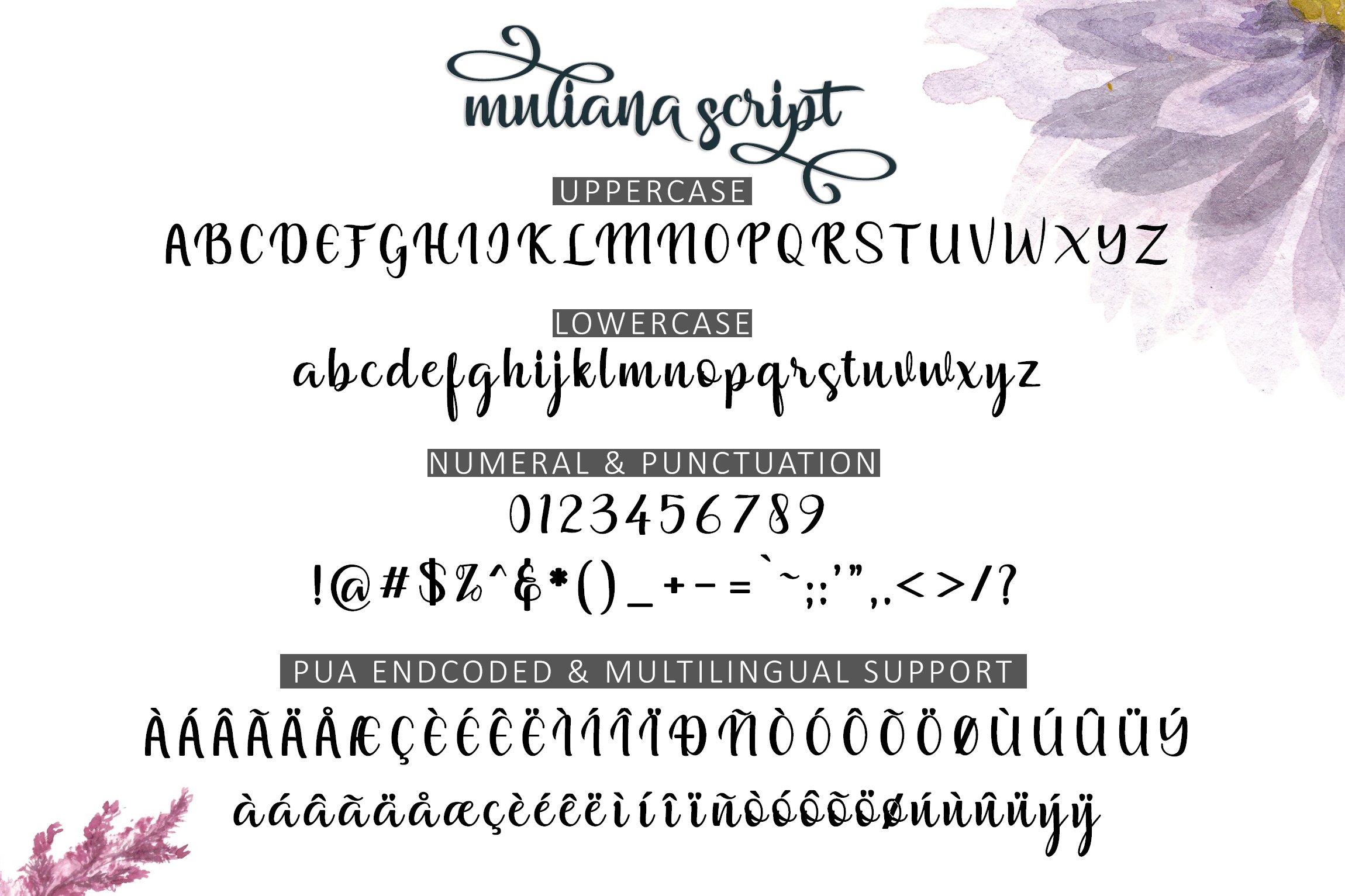 Muliana Script Font (175189) | Script | Font Bundles
