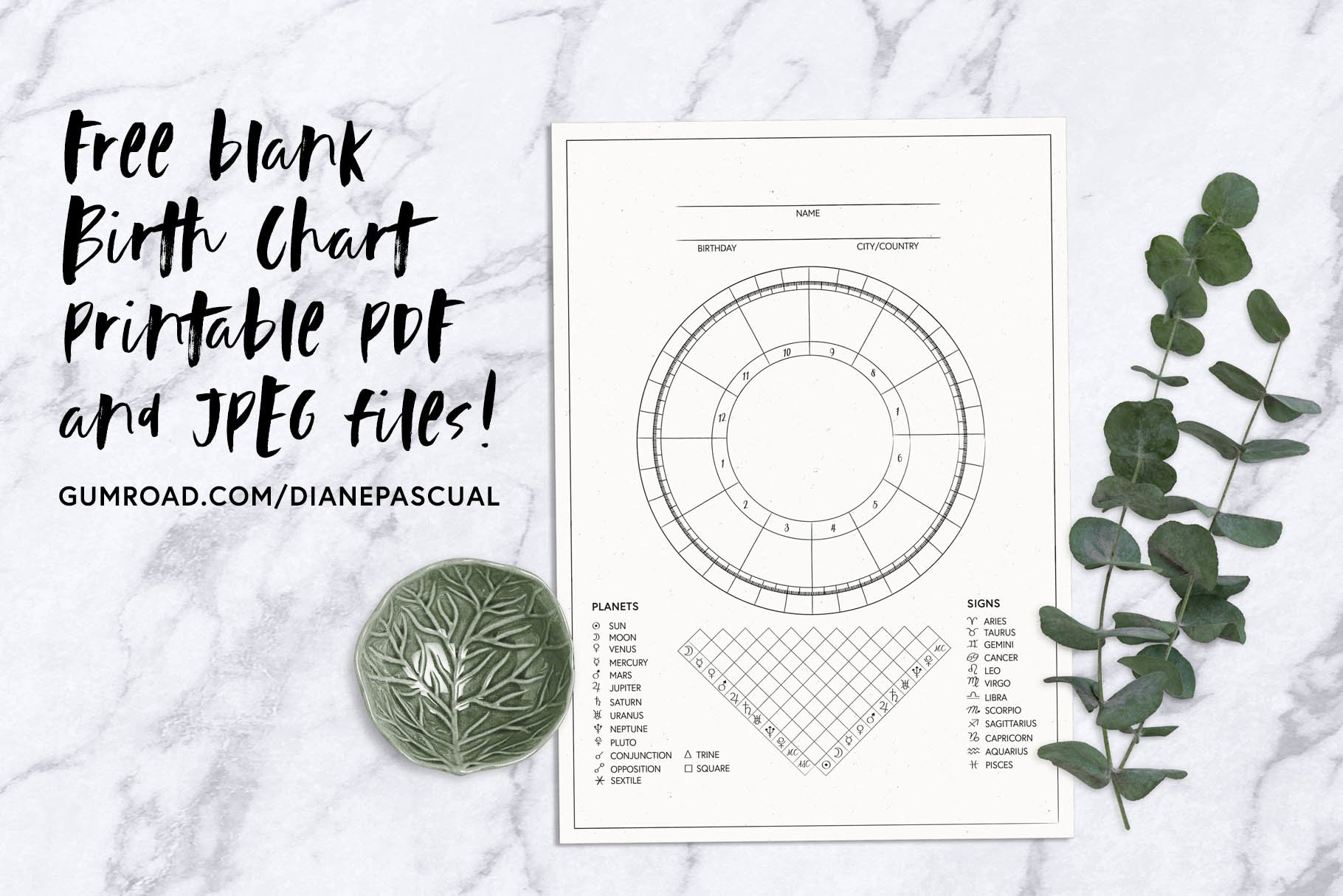 Astrology Vector Set & Birth Chart (236224) | Backgrounds | Design Bundles