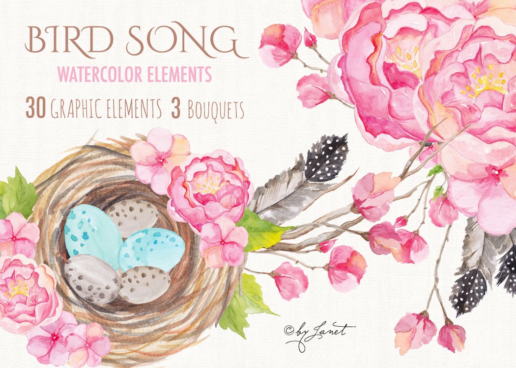 Bird Song Collection