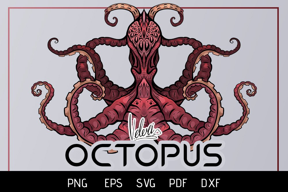 Vector illustration of octopus 3 variations