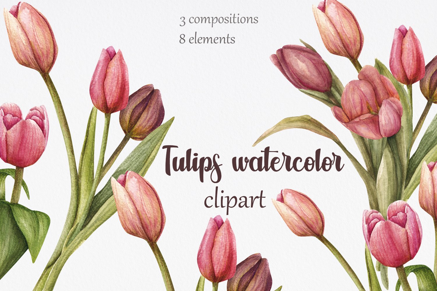 Spring clipart.Tulips watercolor clipart