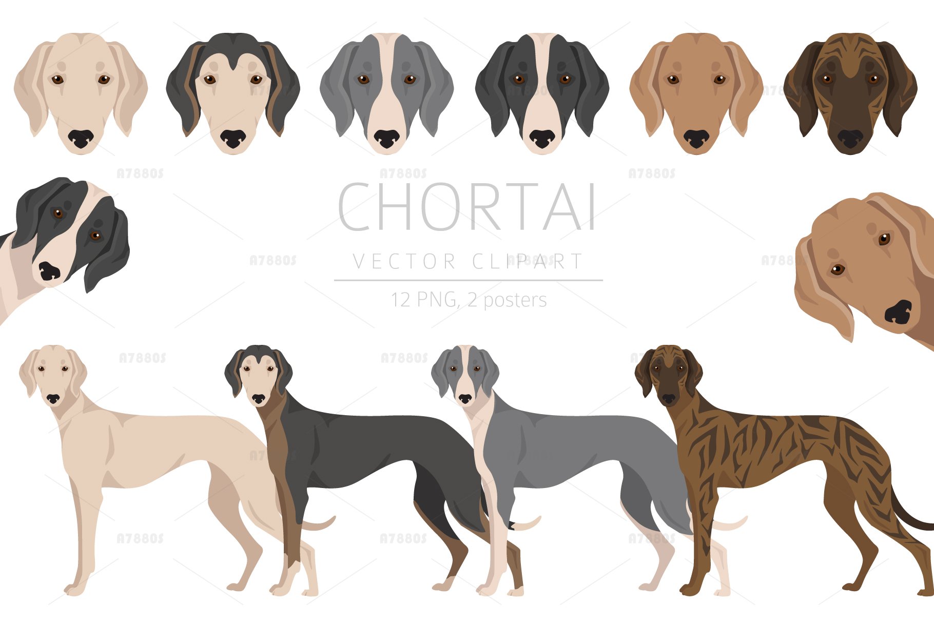 How Often Should You Walk Your Chortai Puppy