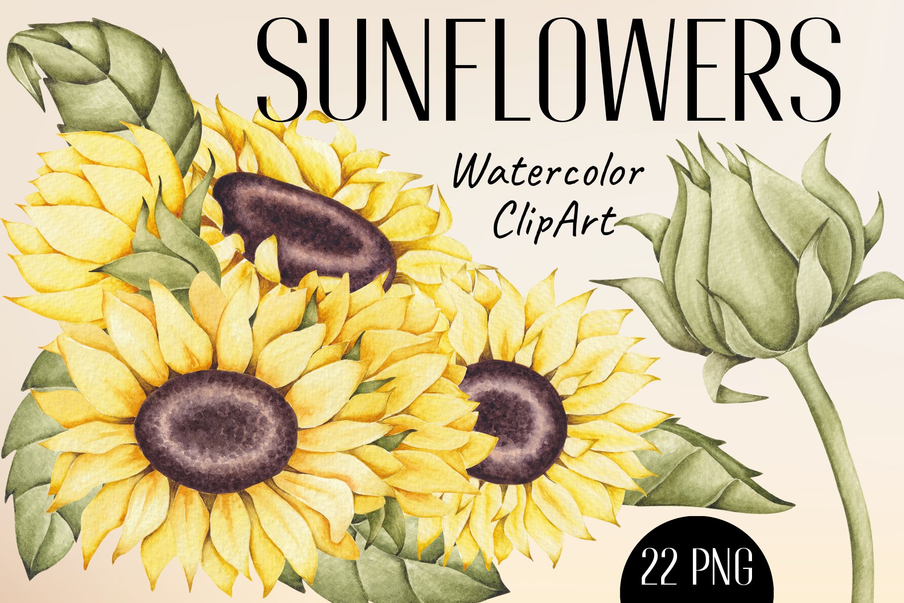 Watercolor ClipArt “Sunflowers”