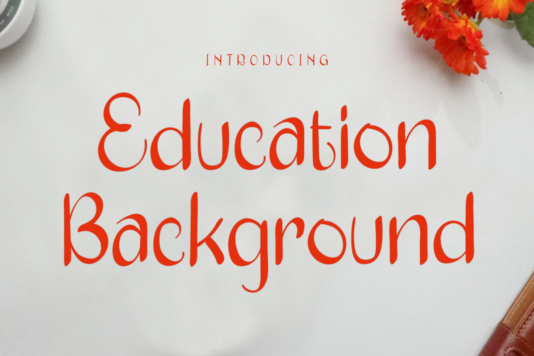 Education Background (1991304)
