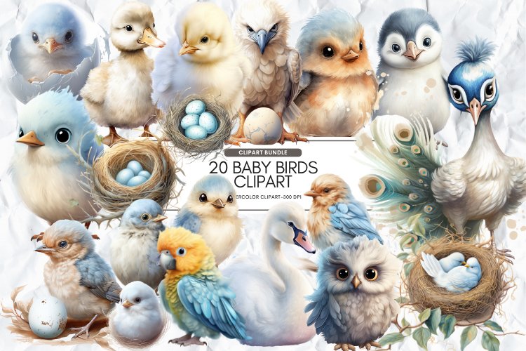 Cute Baby Birds Images Clipart