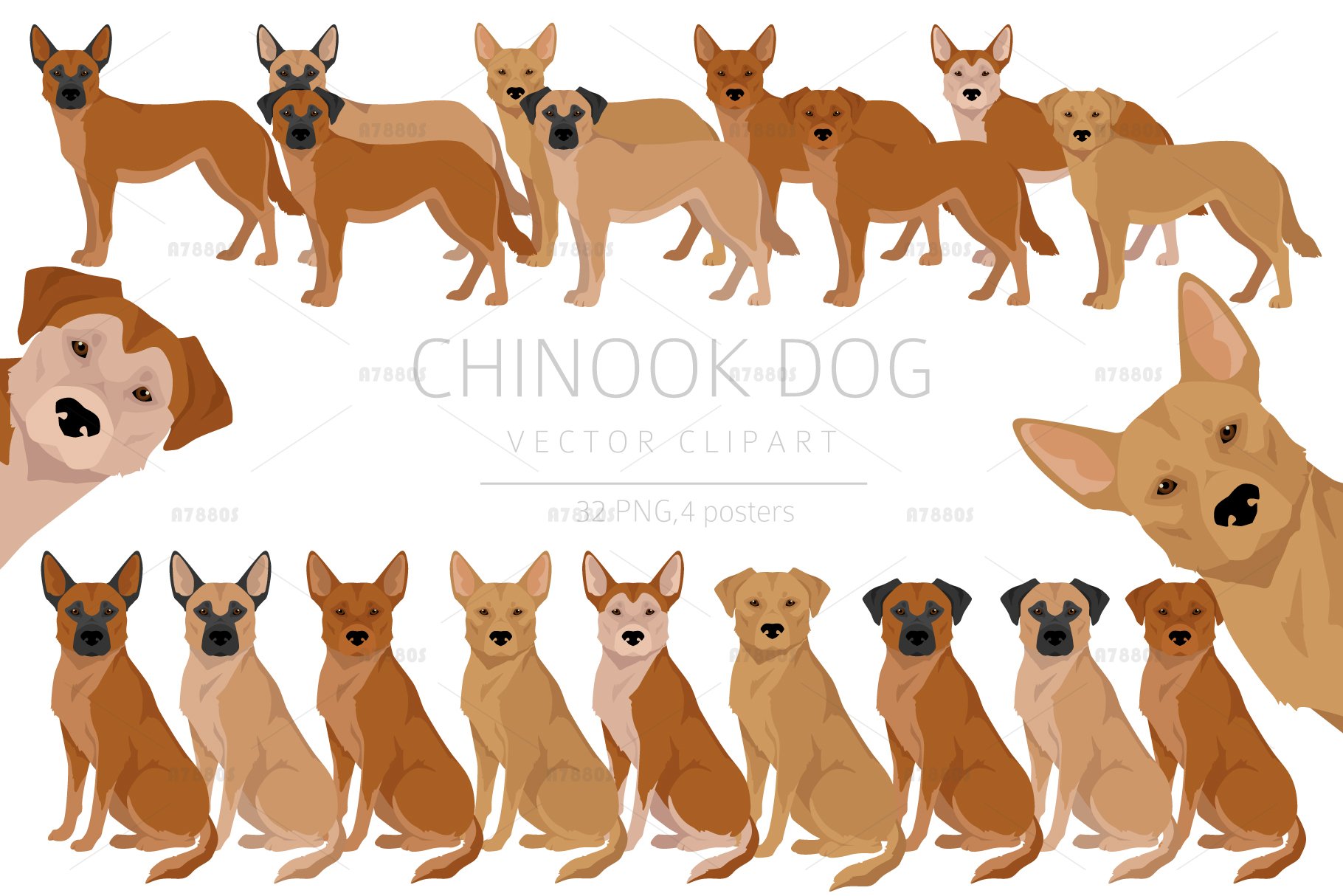 What Makes A Chinook Dog
