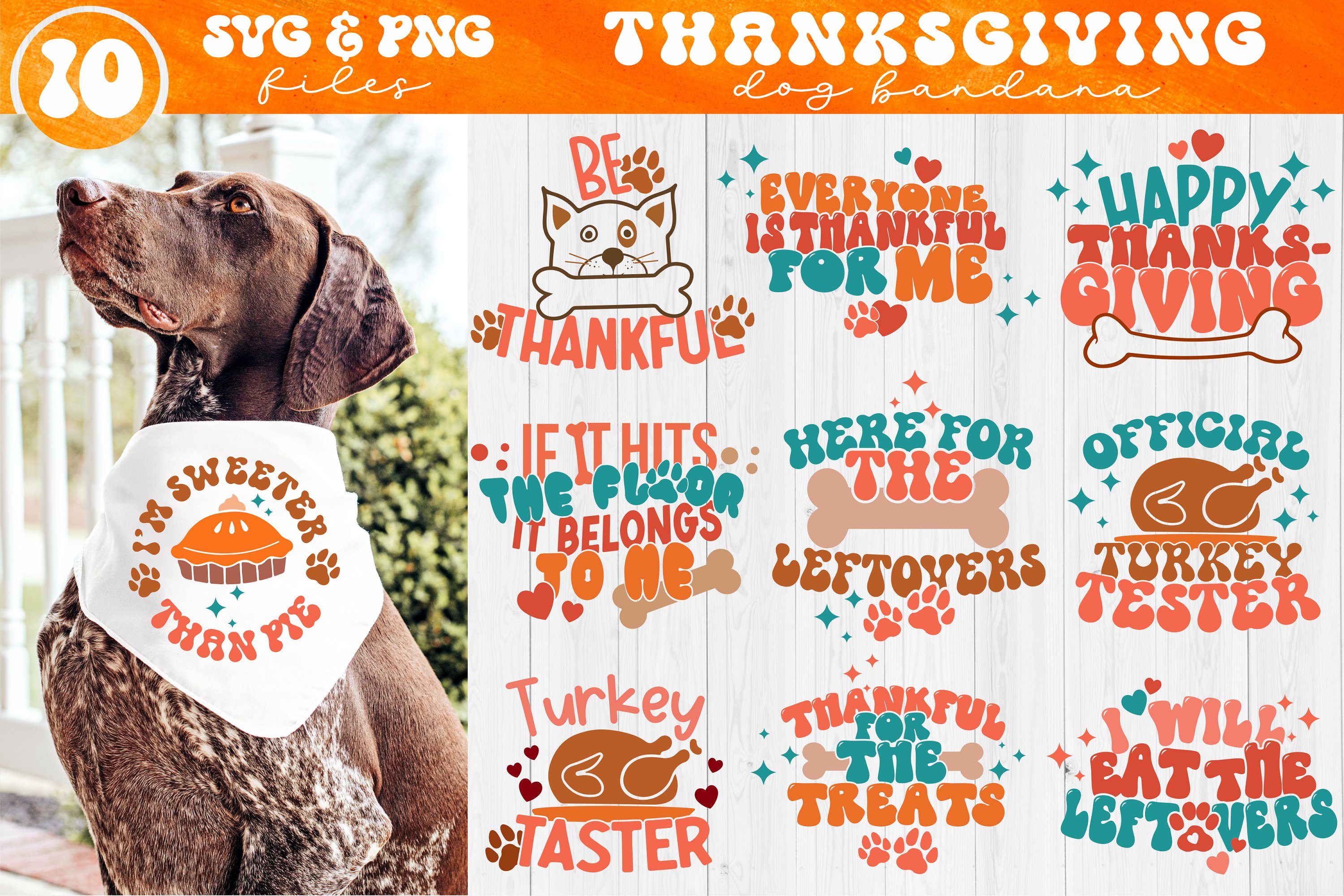 Thanksgiving Dog Bandala svg Bundle, Thanksgiving Dog svg (2129075 ...