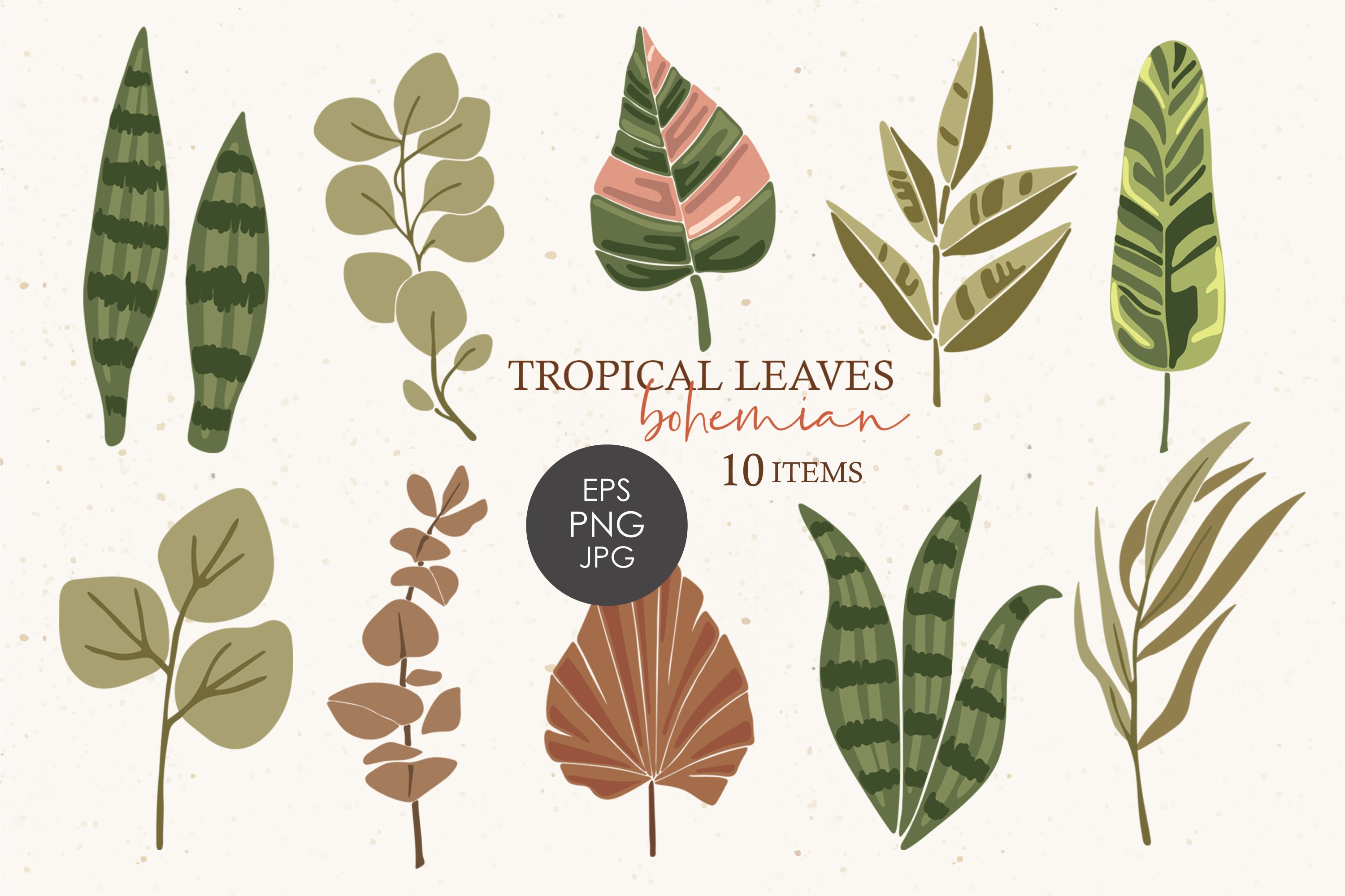 Tropical Leaf Clipart