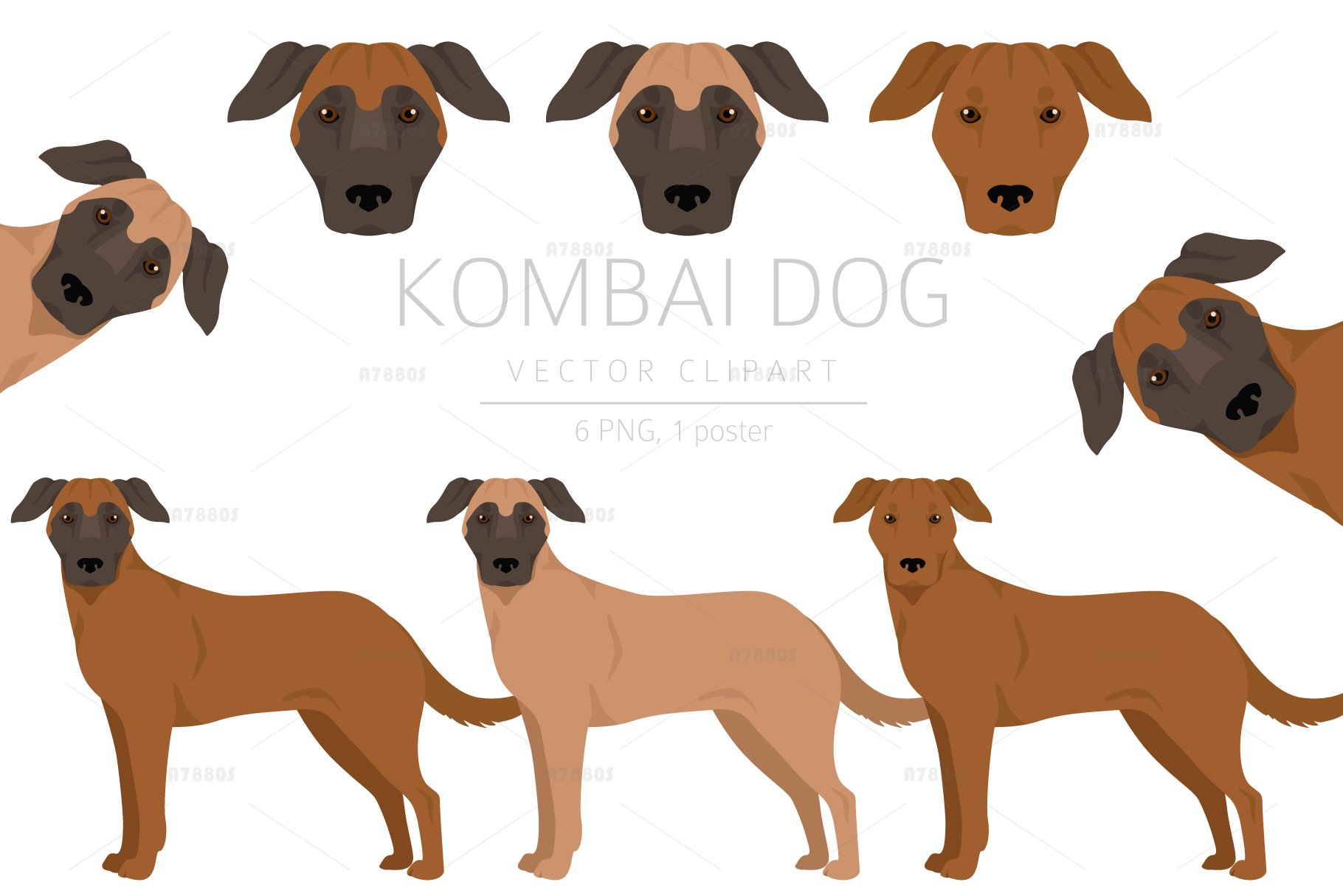 Kombai clipart