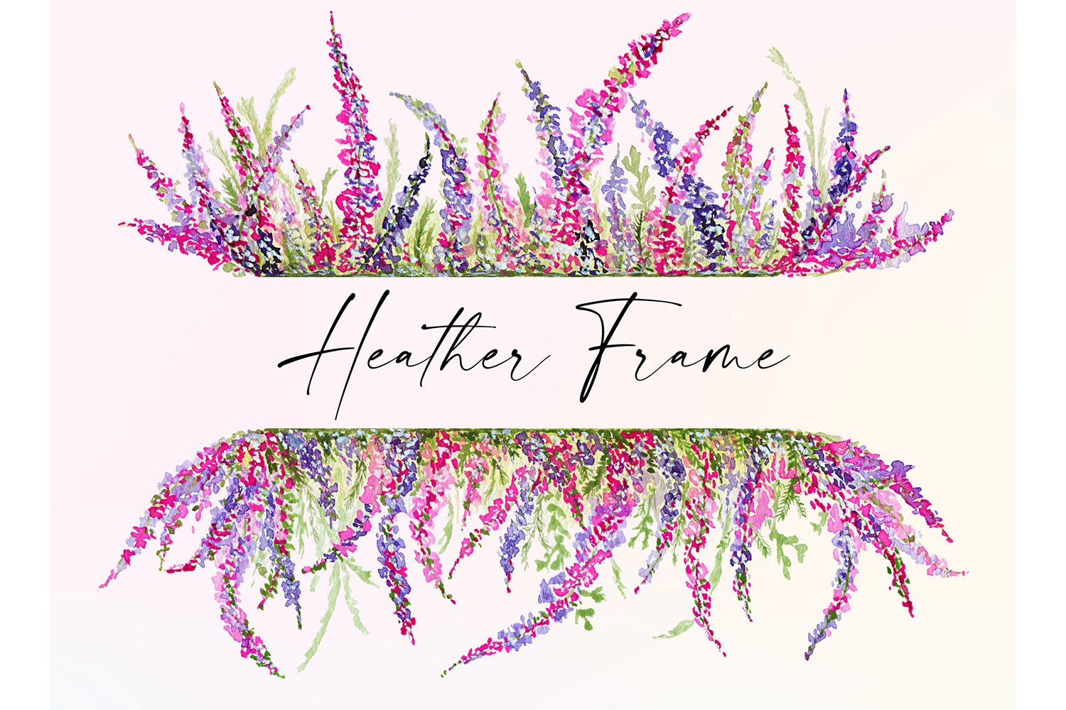 Clipart Heather Plant