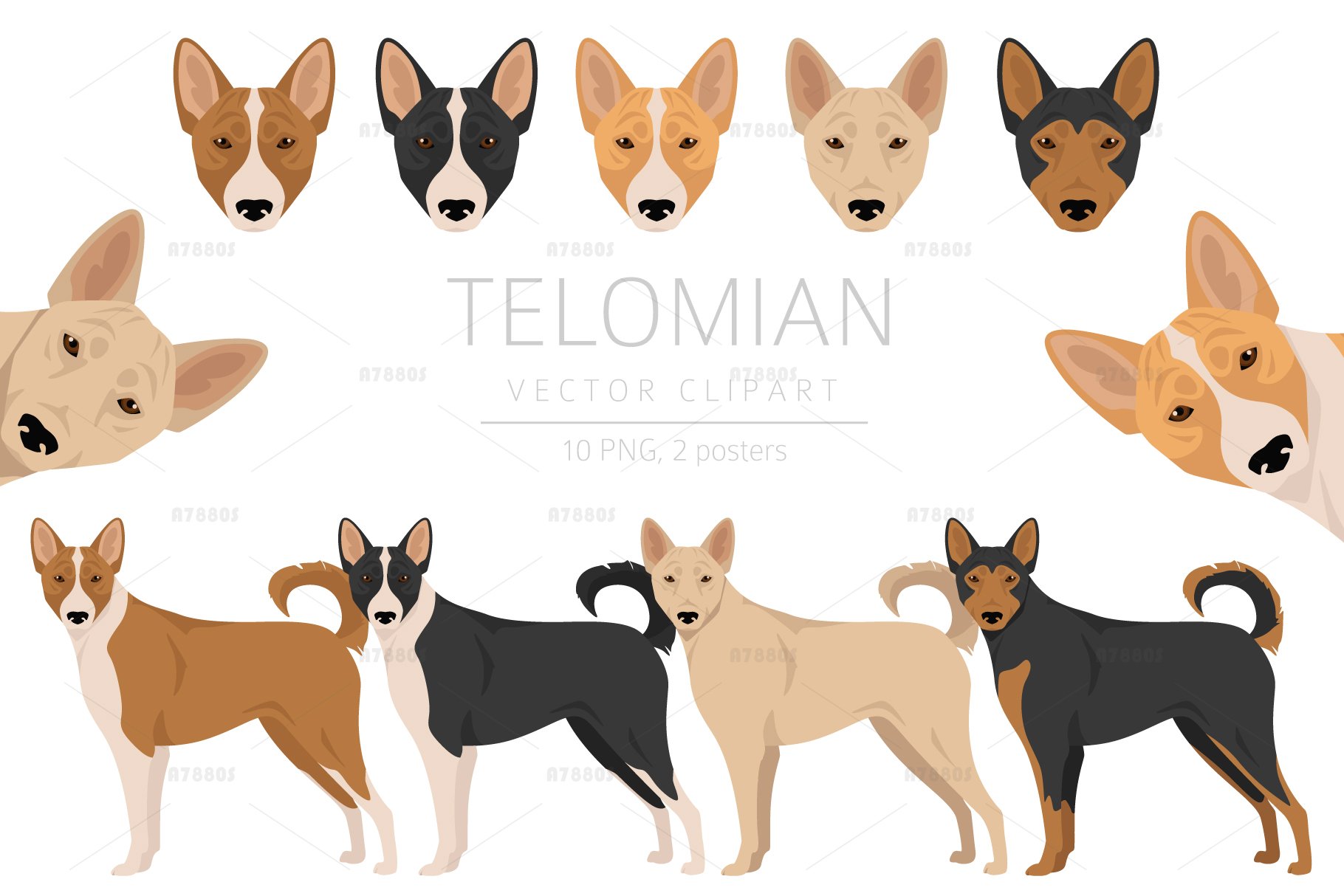 Telomian dog clipart (2273978) | Illustrations | Design Bundles
