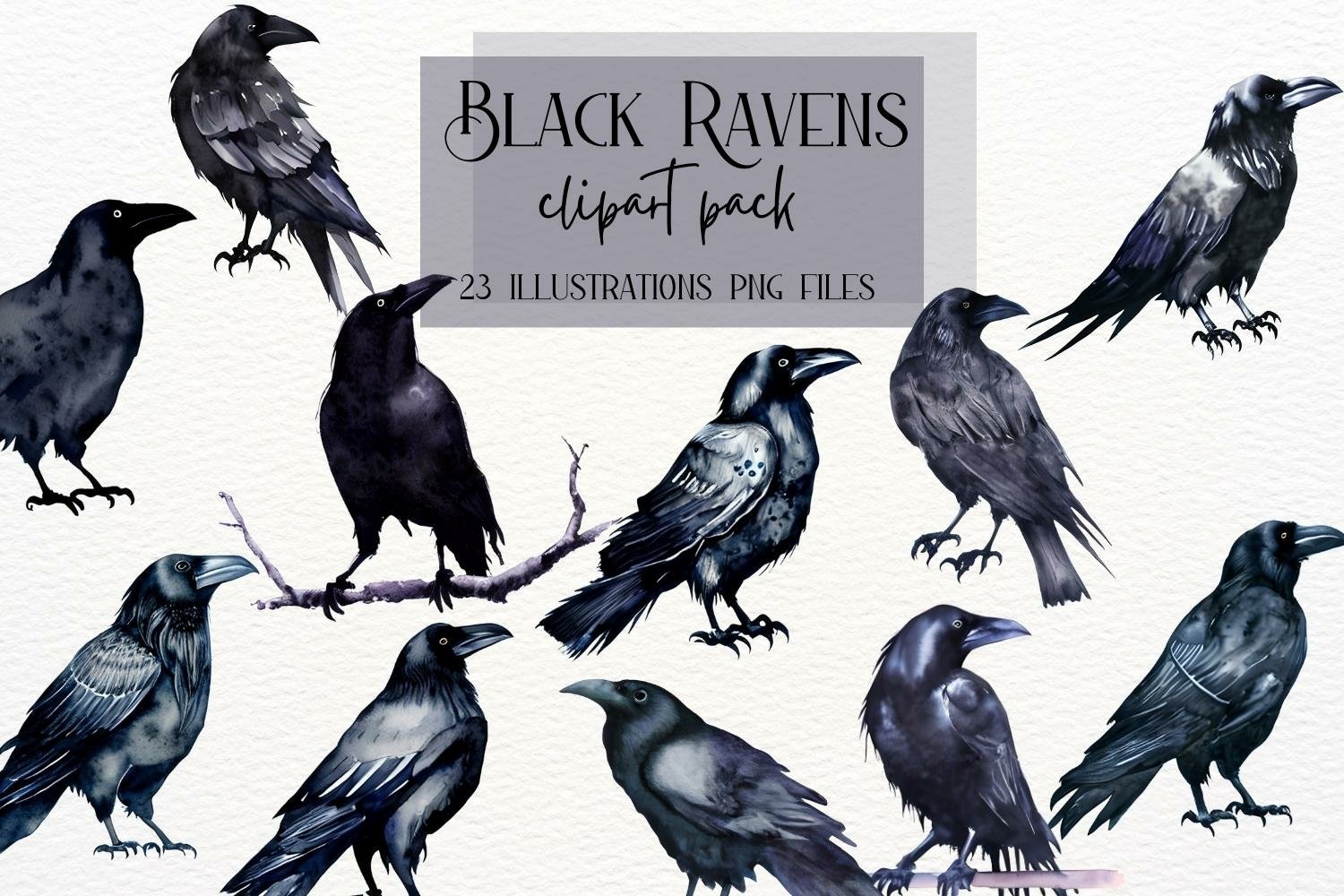 Raven Bird Clipart
